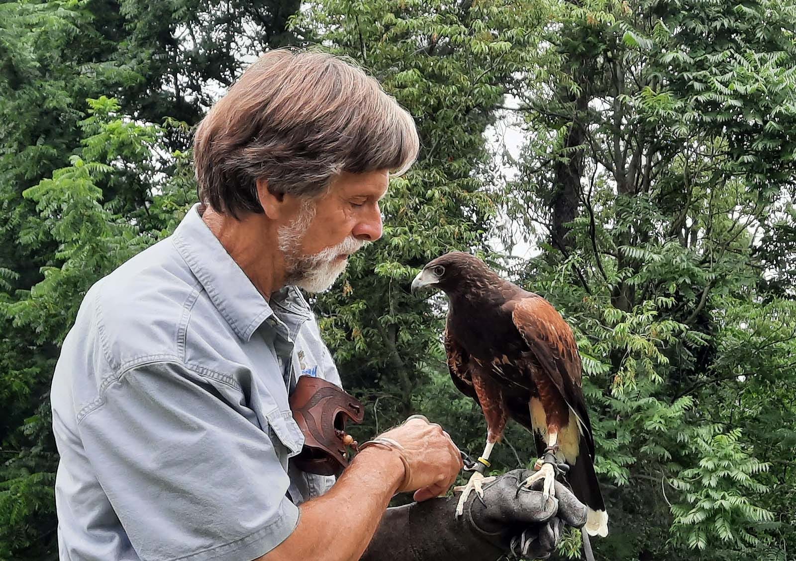 What is falconry? Hunting with birds takes dedication