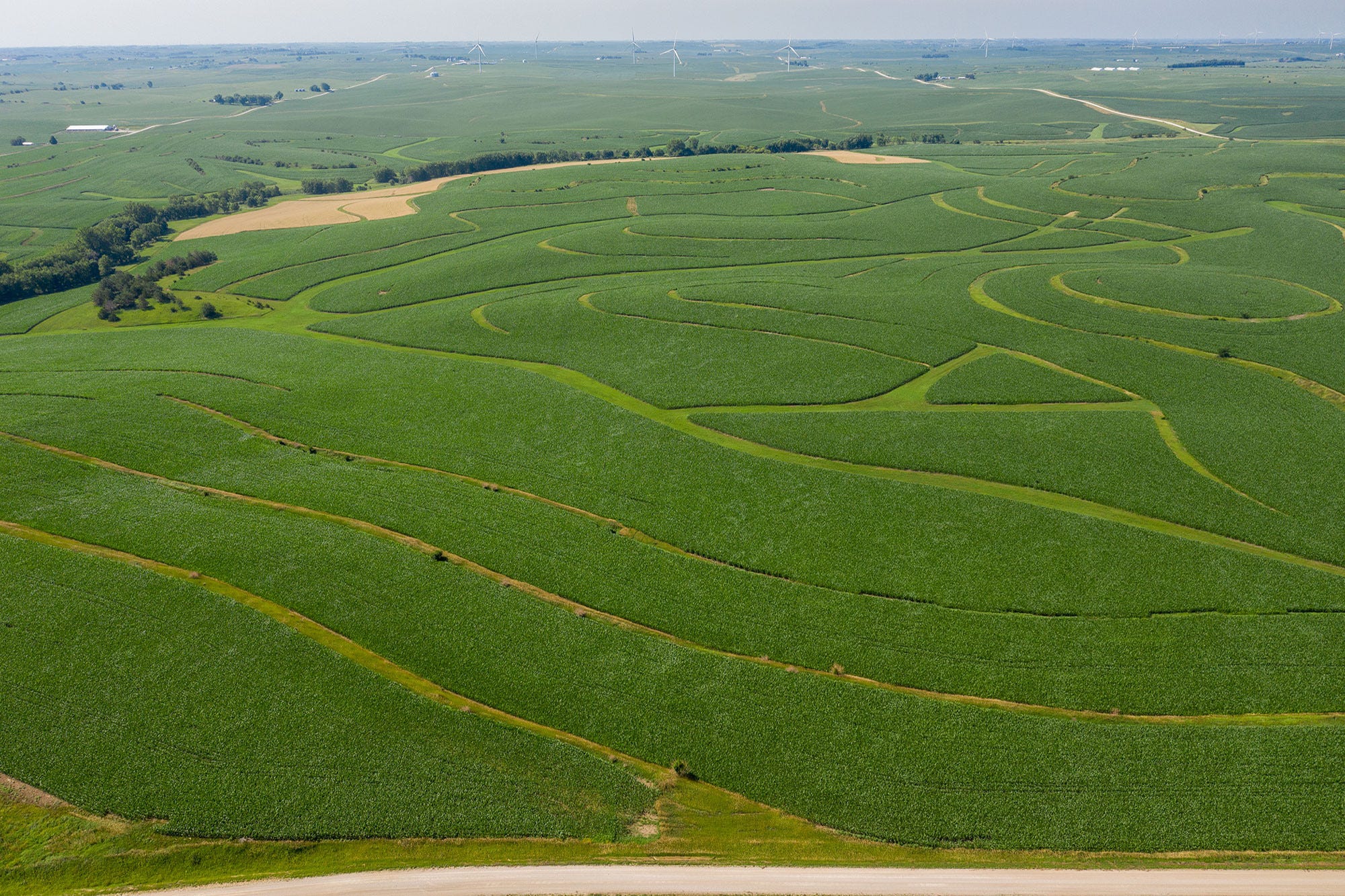 2,000 Iowa acres could go for discounted price — but only to good owners