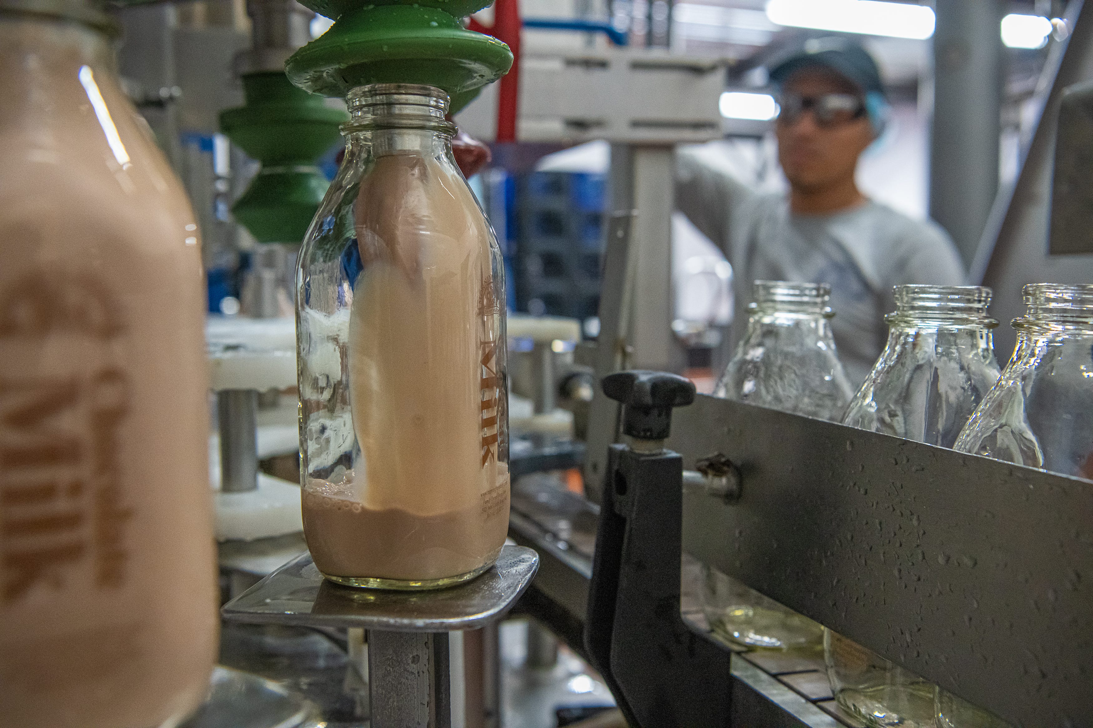 Morning Fresh Dairy gets milk from cow to table within hours