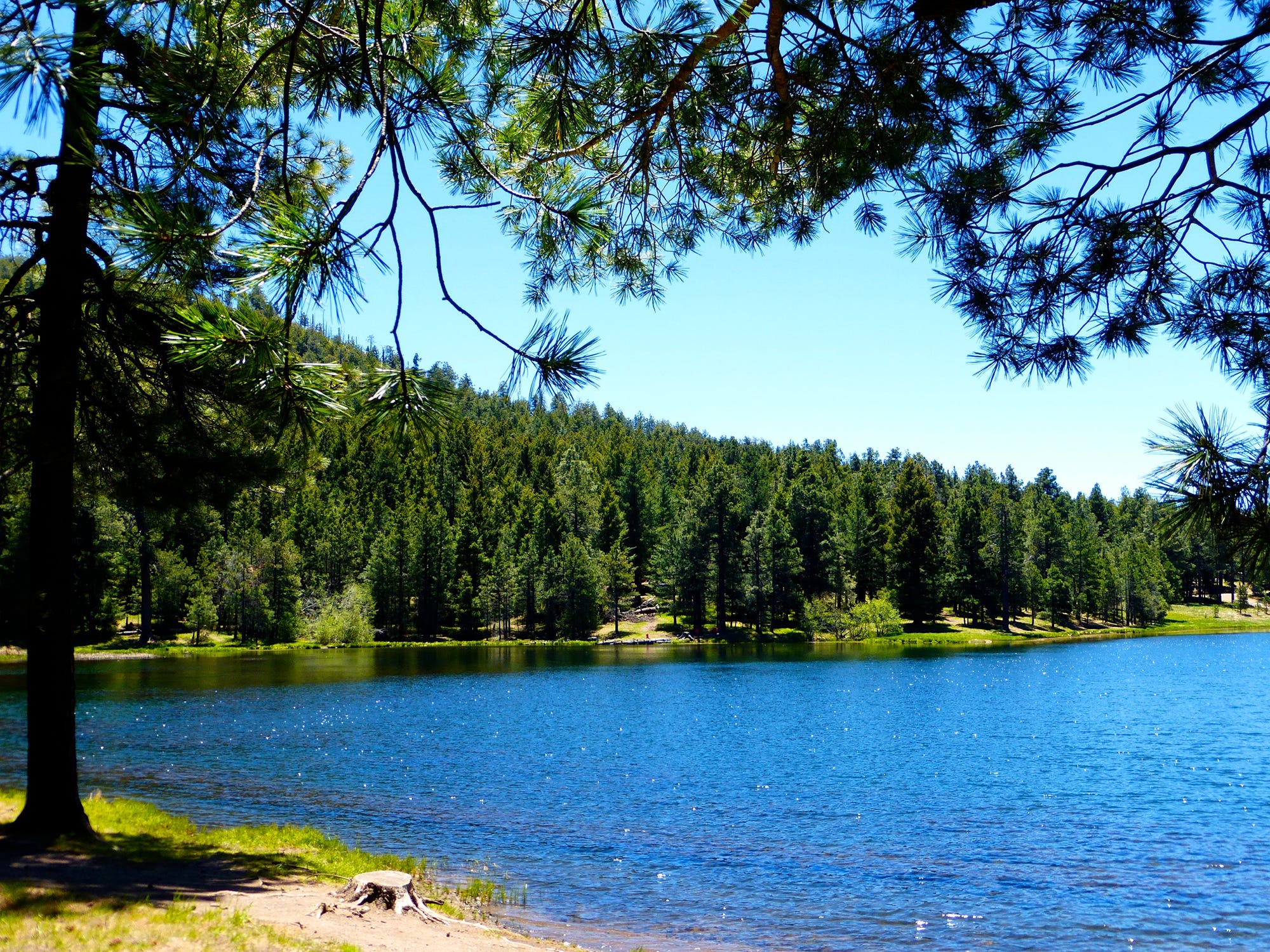 Mount Graham, a sacred space for Apaches first stolen, then defiled