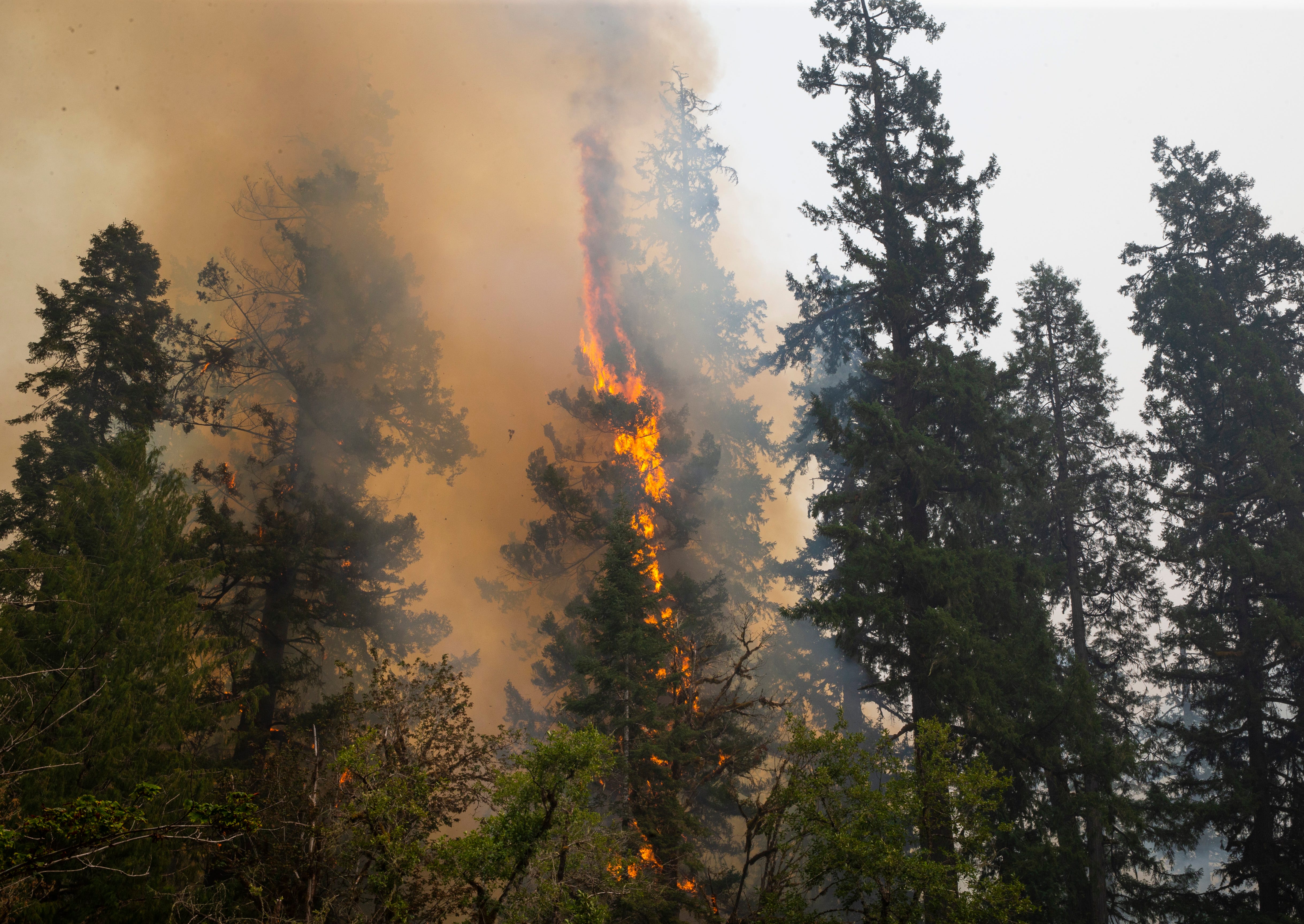 Oregon wildfires by the numbers: 826,000 acres, 174 homes in 2021