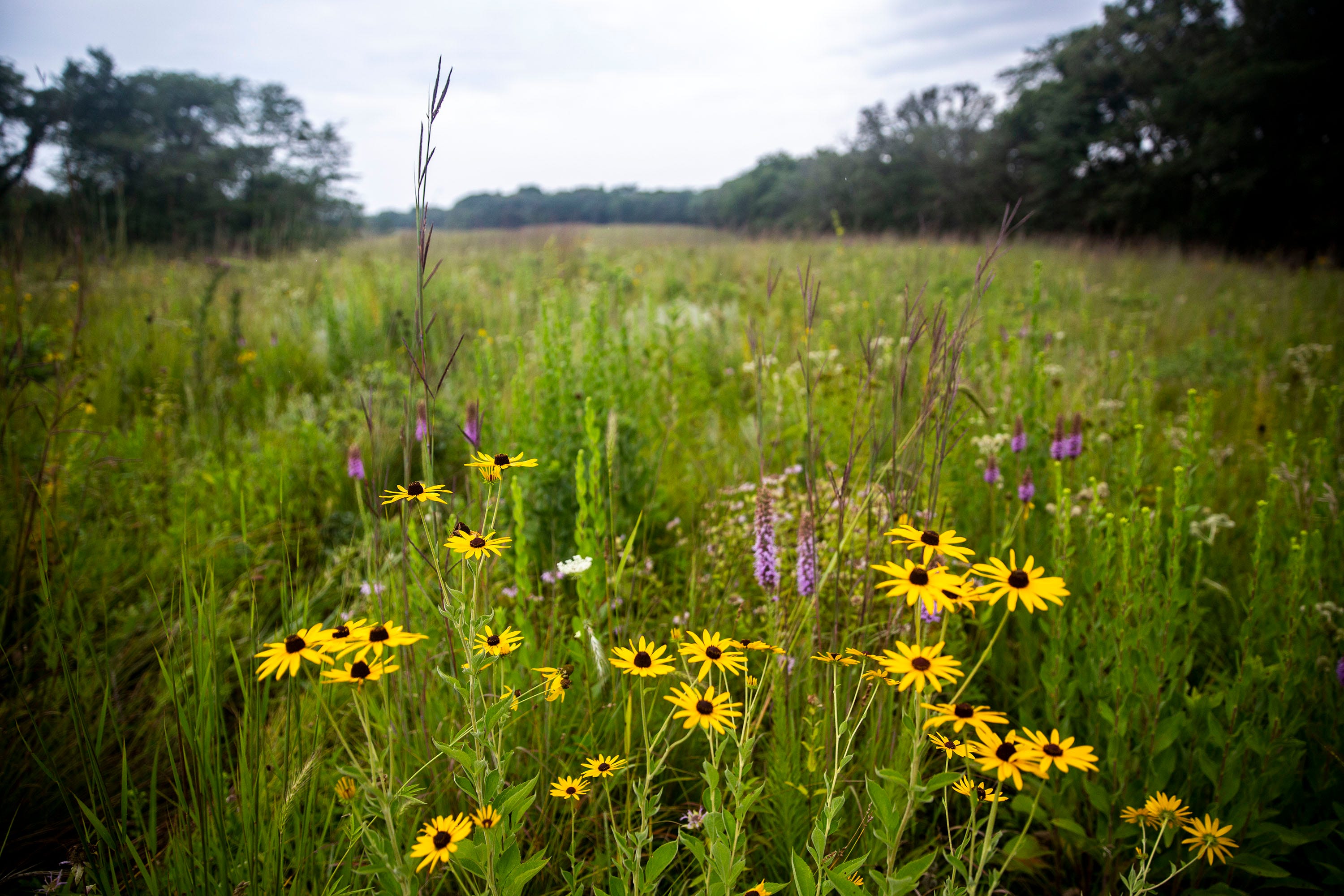 Iowa conservationists the Garsts selling land with soil health mandates