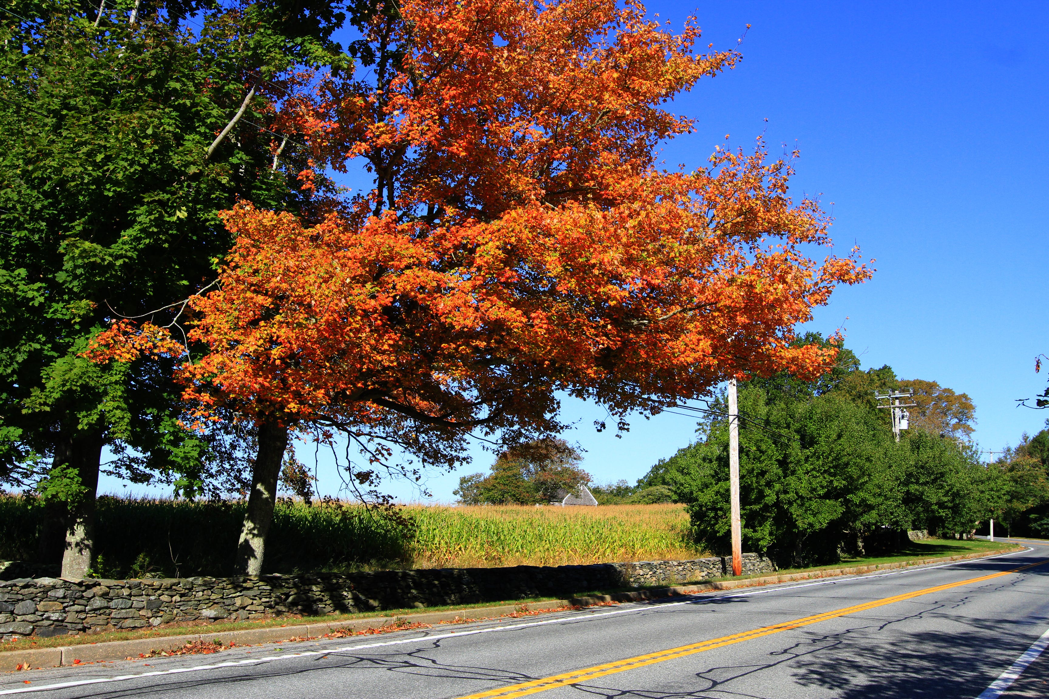Six fall foliage drives near Newport, Rhode Island