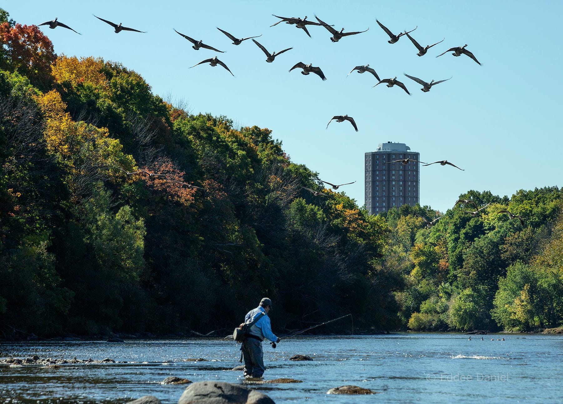 The Milwaukee River Greenway is a wilderness in our own backyard.