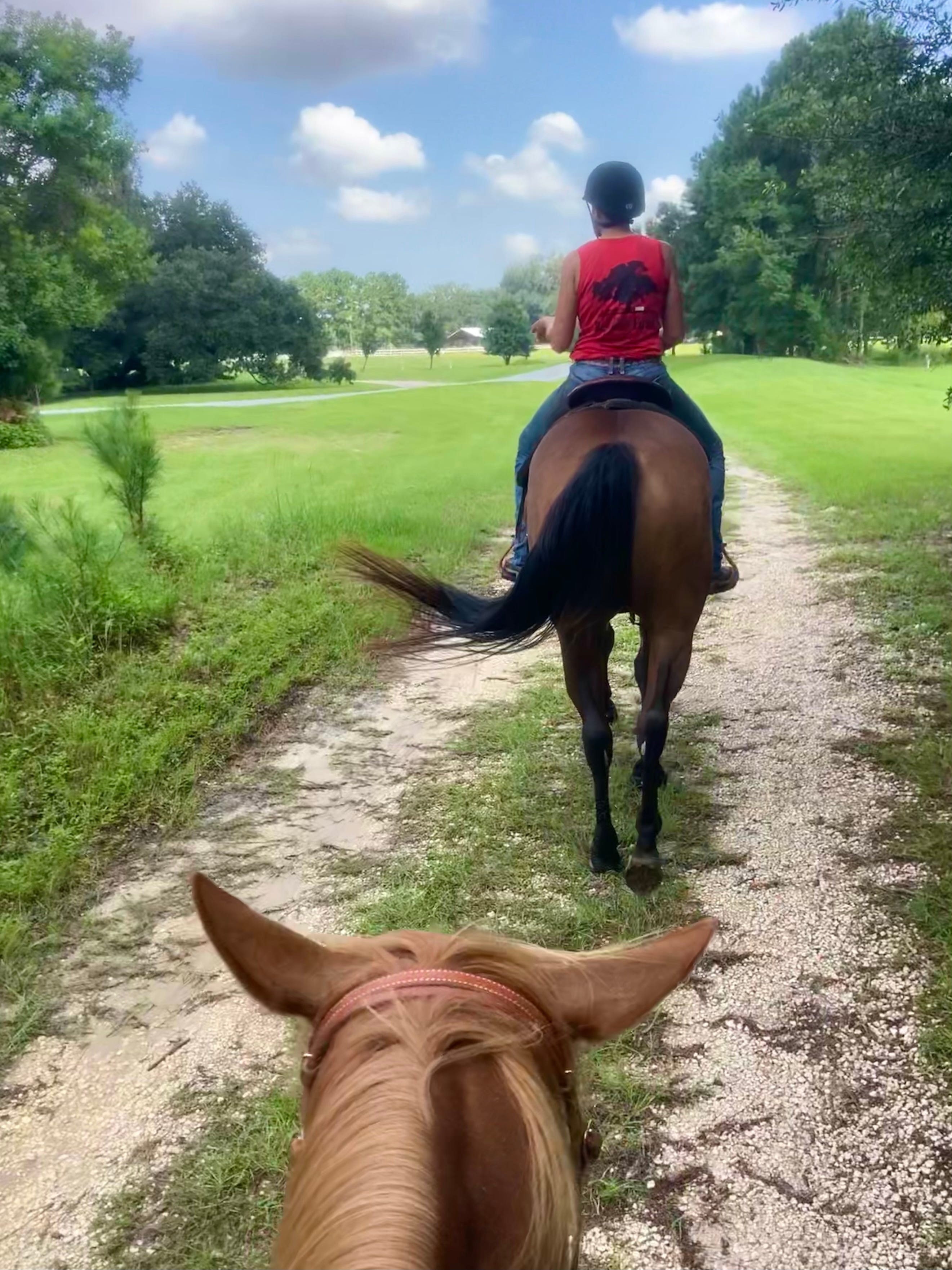 Things to do in Savannah: Horseback riding trails at Red Gate Farms