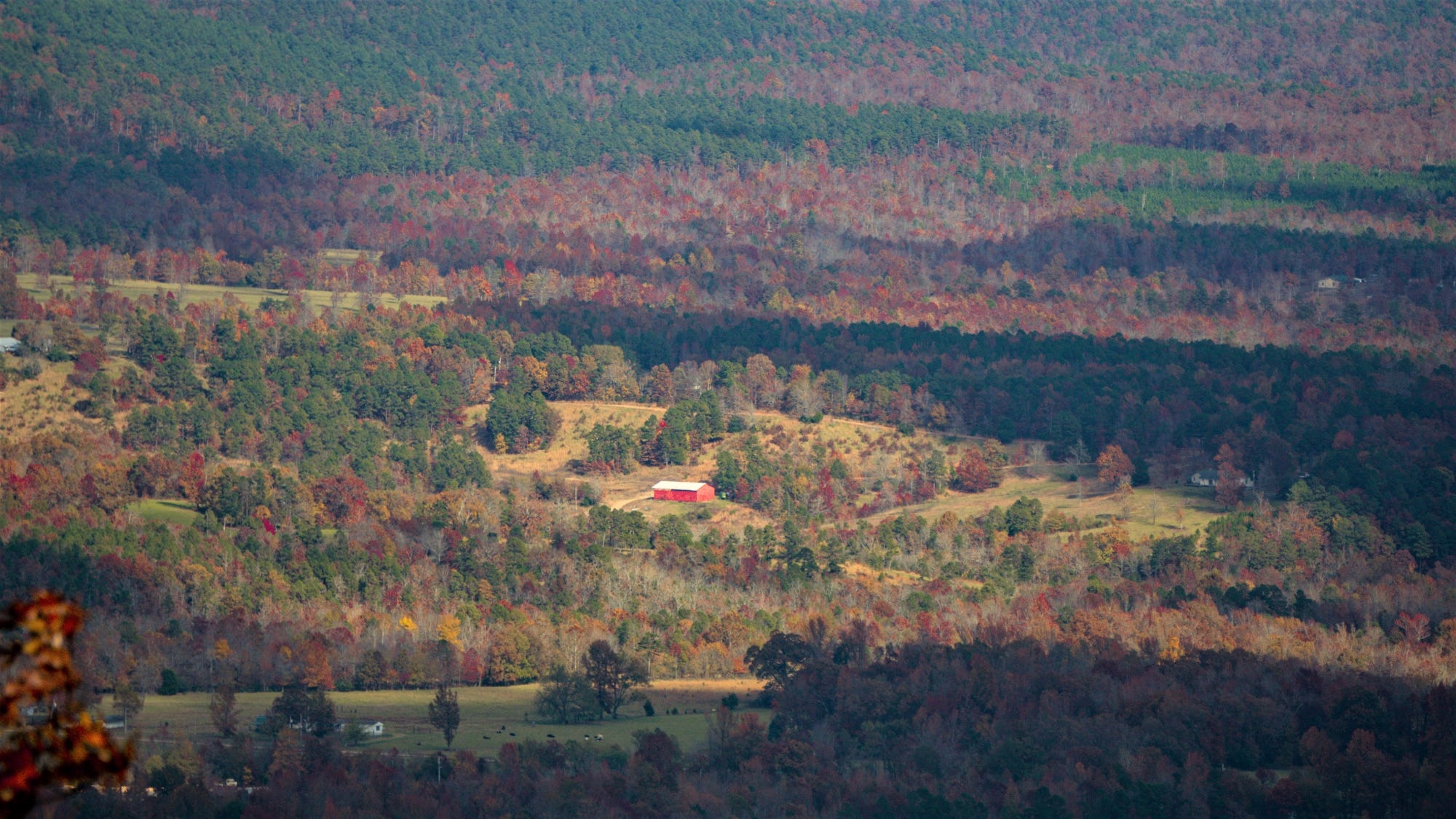 Great places to see Oklahoma's leaves change colors across the state