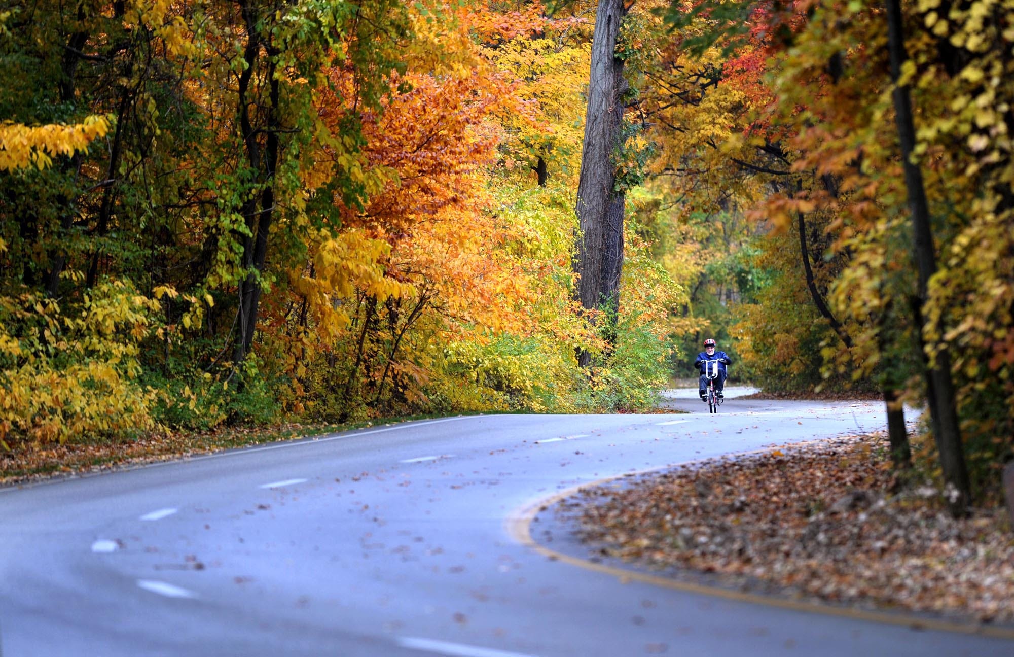 Fall foliage 2021: Erie County's best places to see the autumn colors