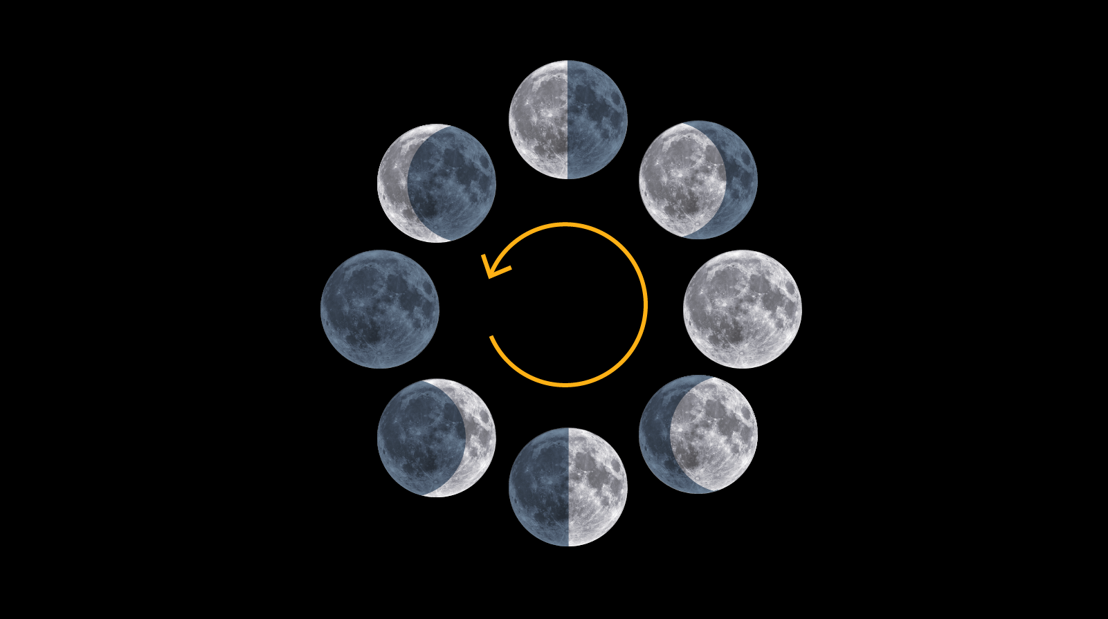 Full Moons This Year