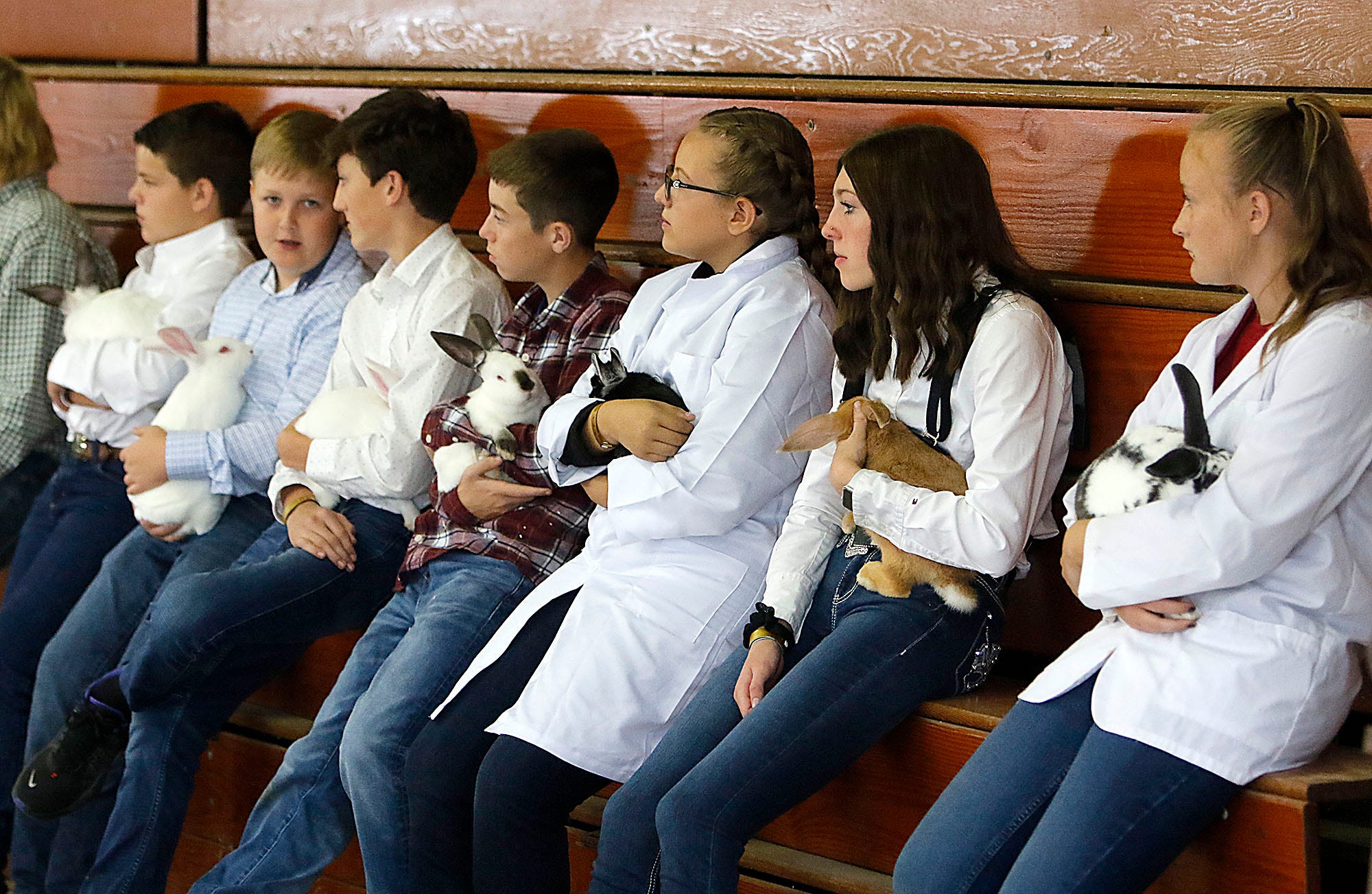 Ashland County Junior Fair Rabbit Show results announced