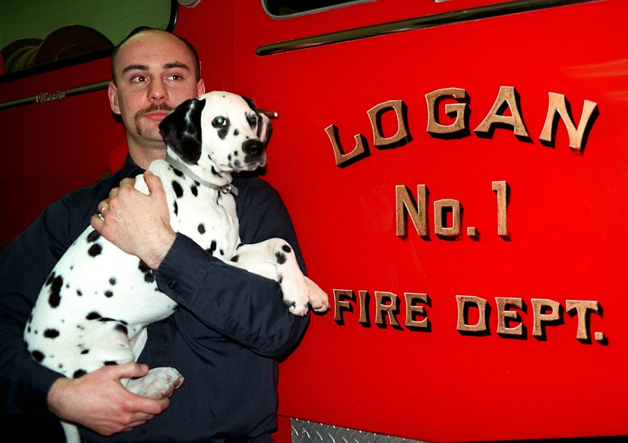 Why Are Dalmatians Considered Firehouse Dogs