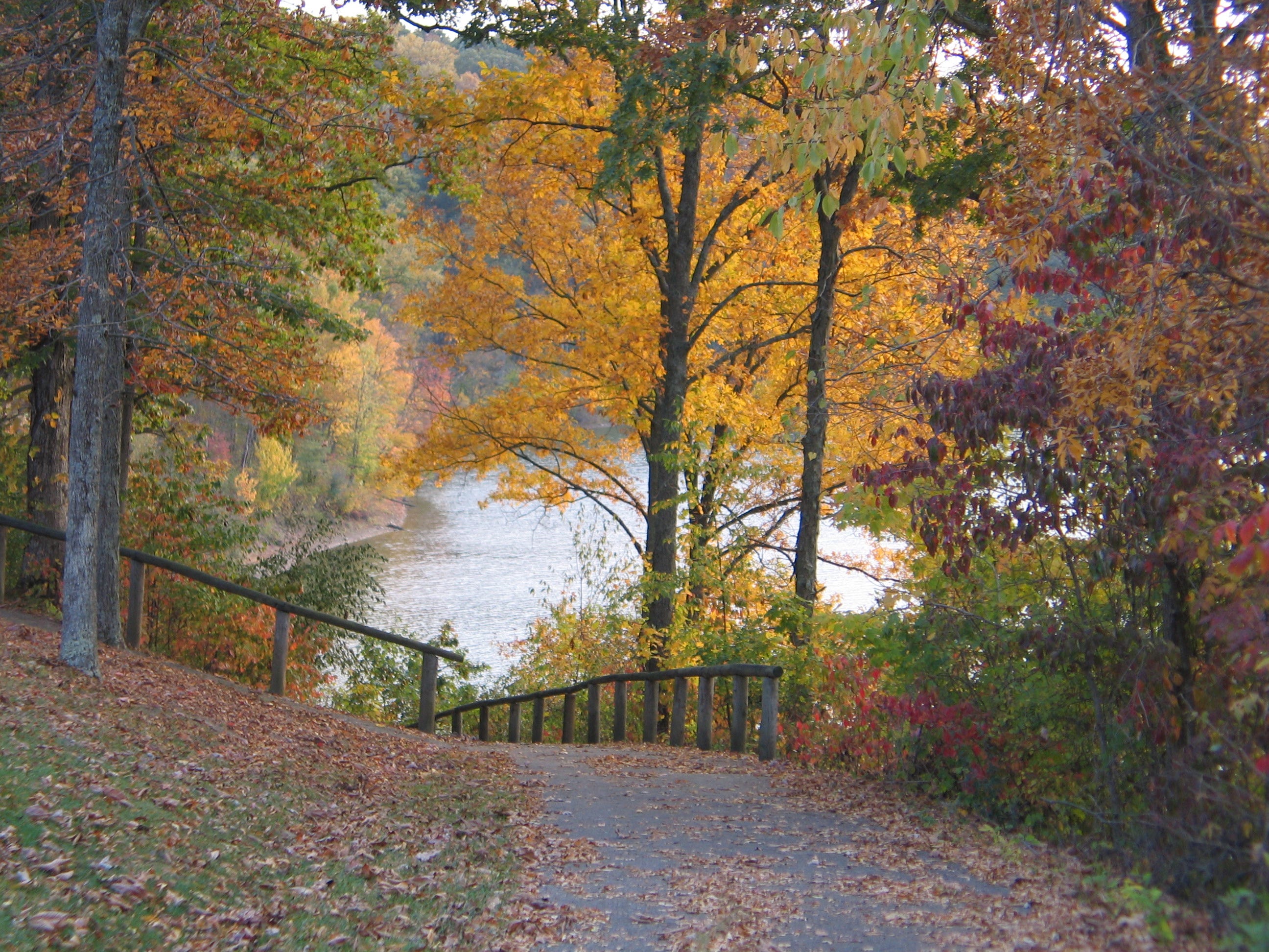 2021 fall colors: Where to find stunning fall leaves in Ohio