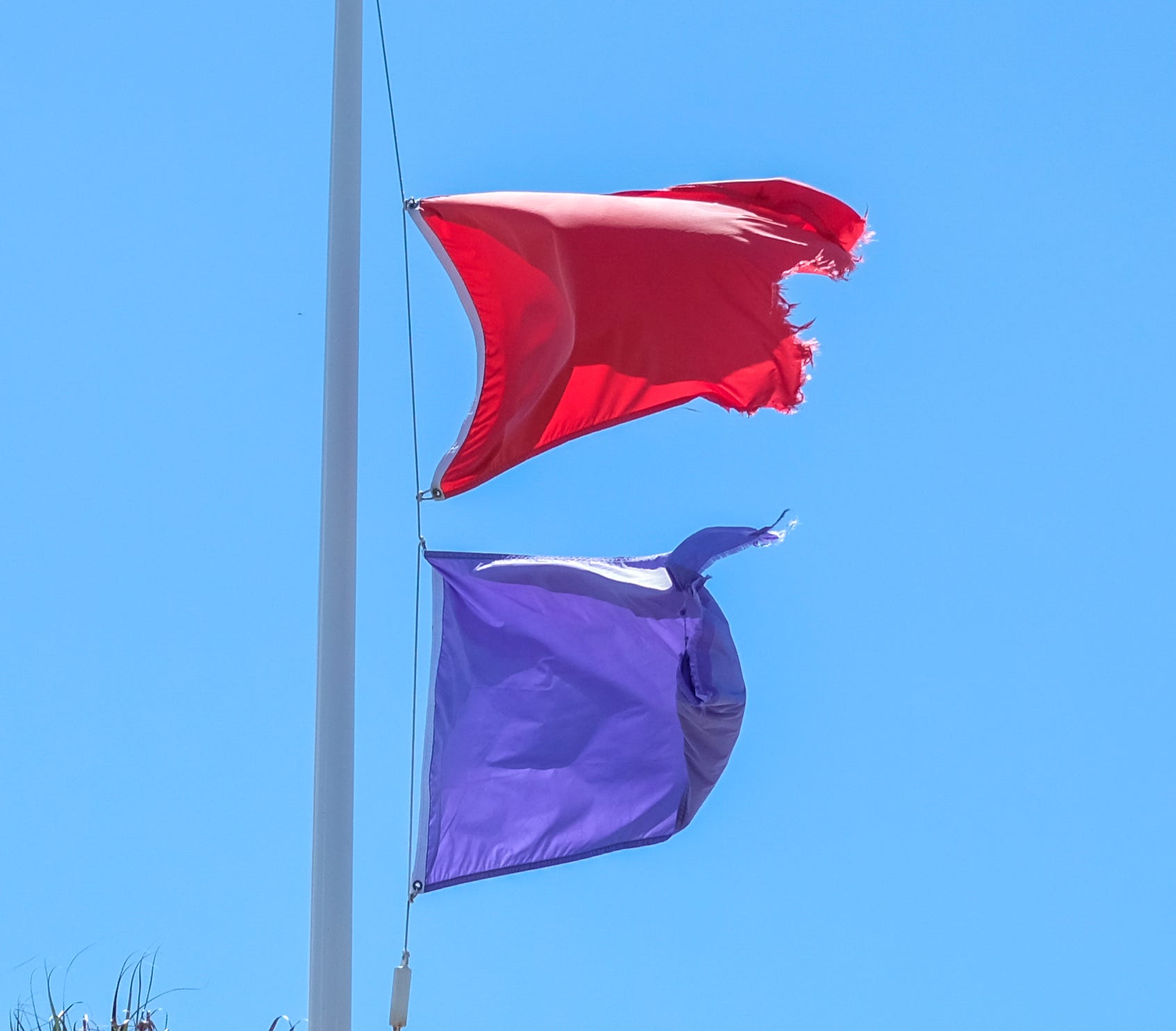 Walton County: Red tide reported in Gulf Coast beaches