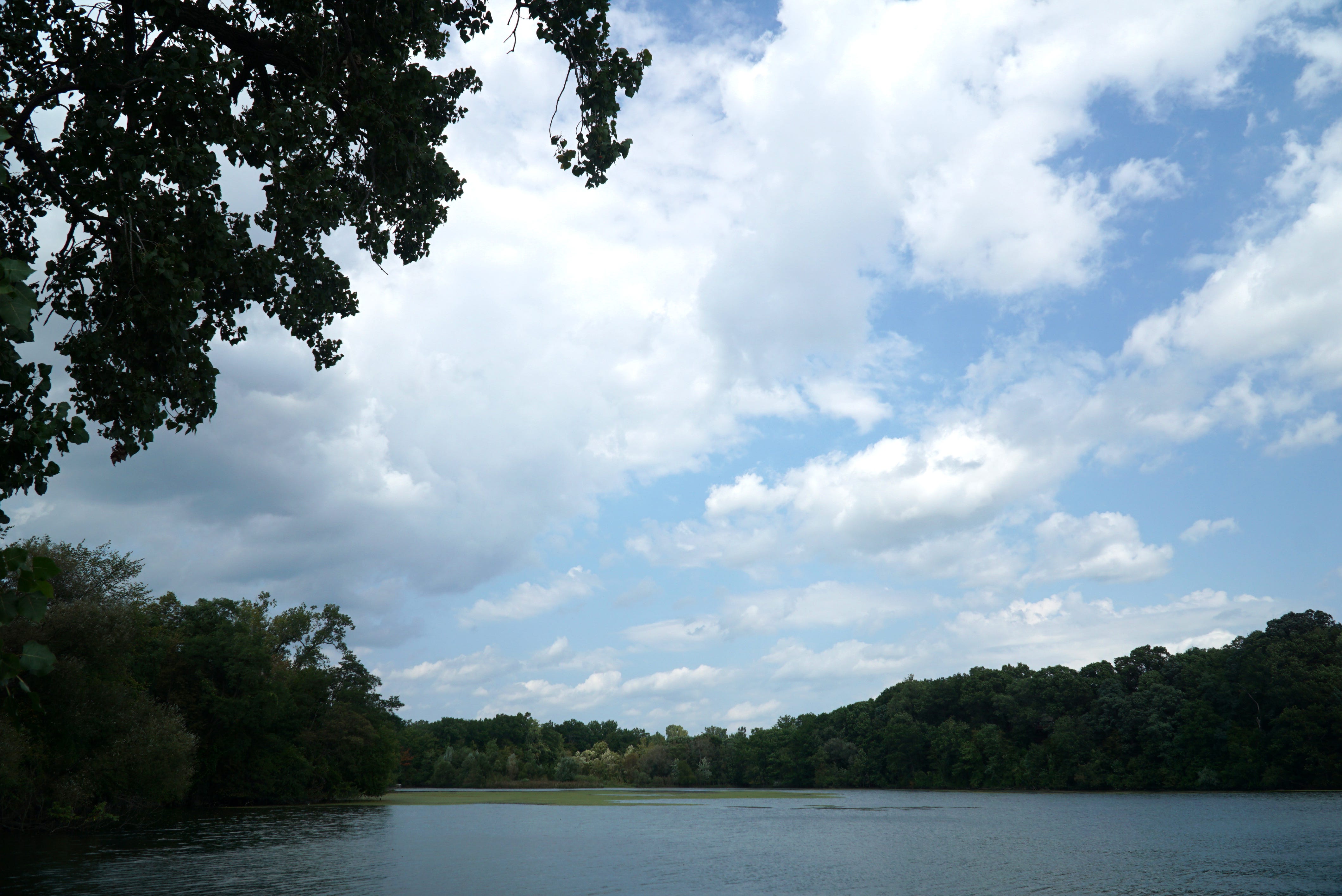 Photos show life, recreation along Wayne County's beloved Hines Drive