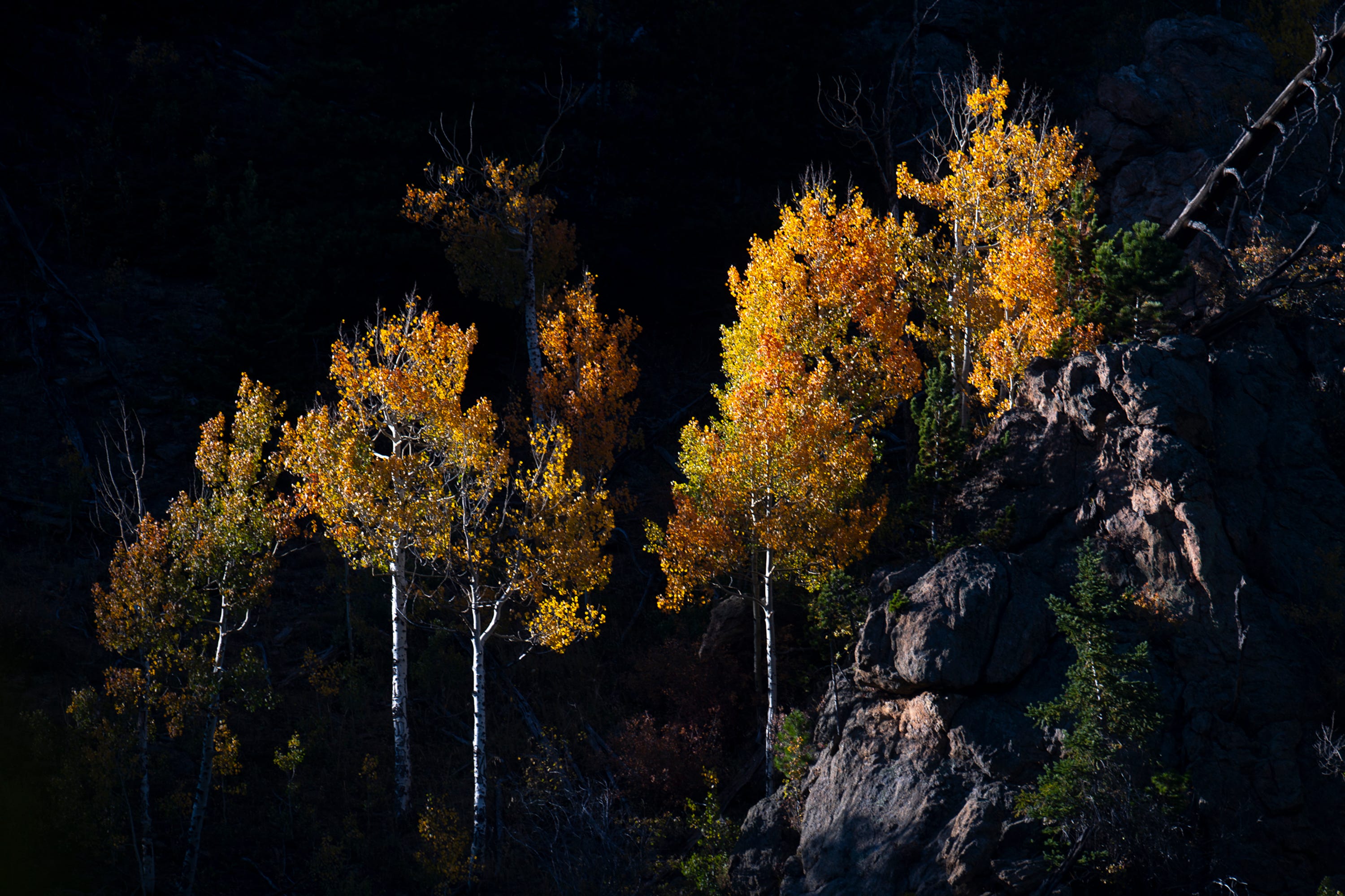 Best fall color drives in Colorado, and some close to Fort Collins