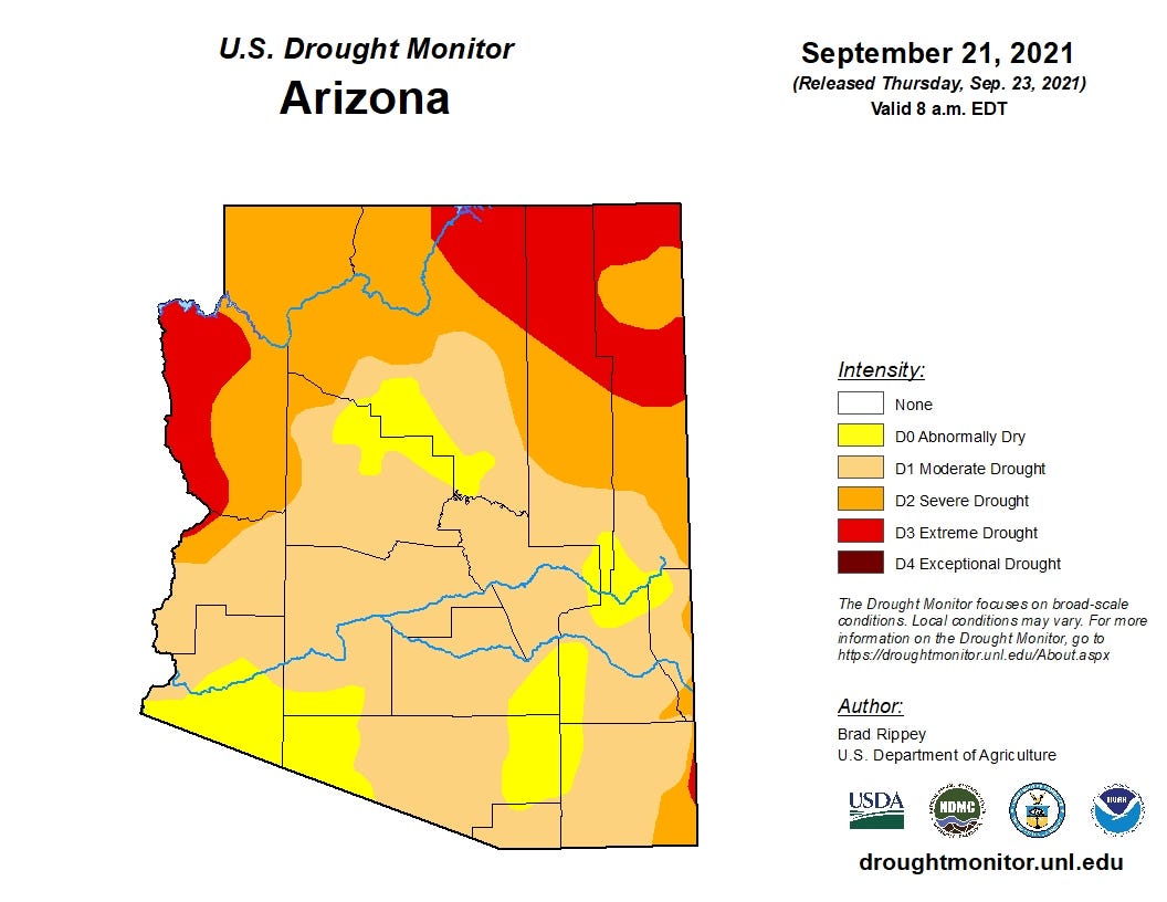 Arizona monsoon leaves record rain and floods, but not everywhere