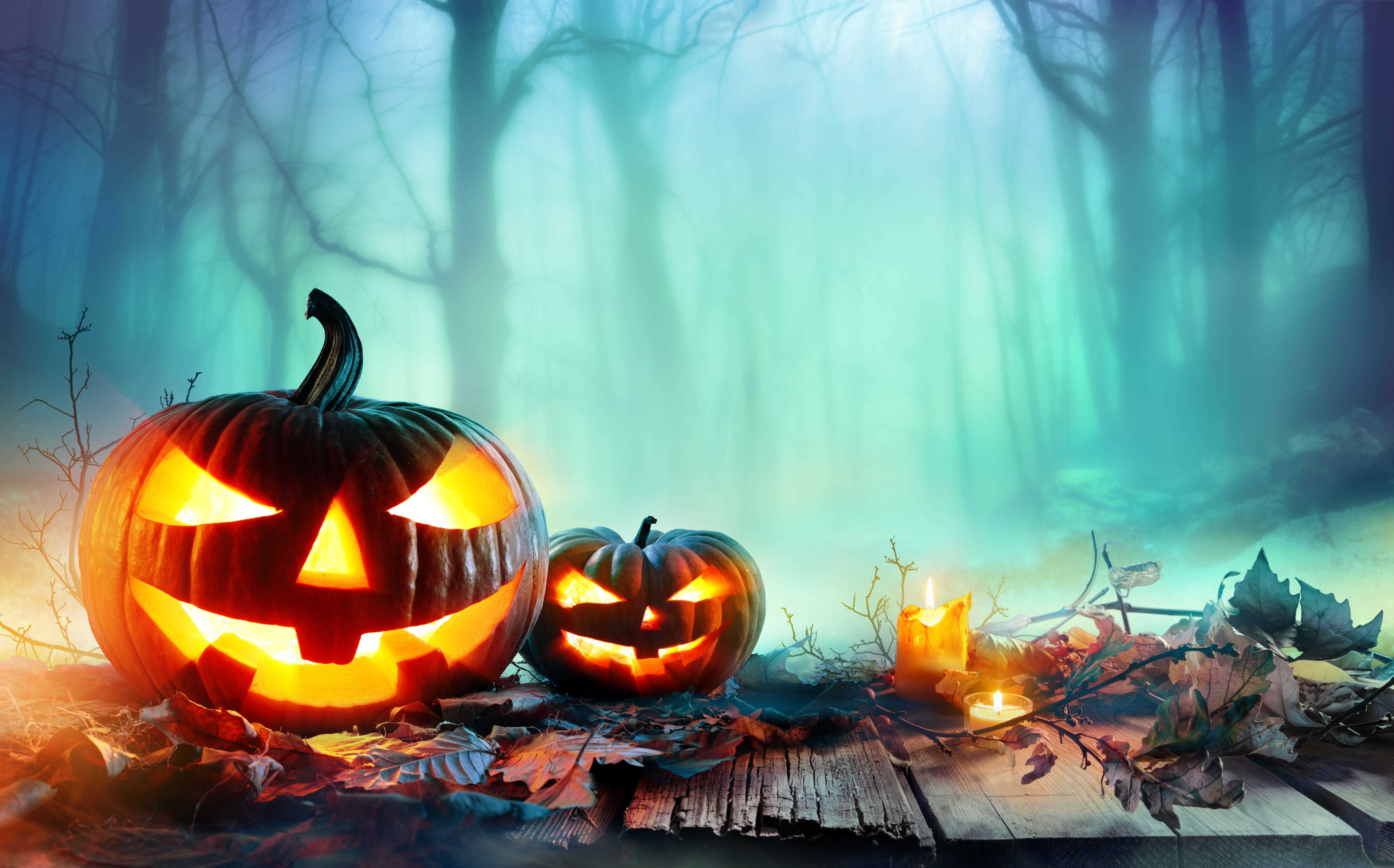 Fall is for festivals, mazes, Halloween, pumpkins, trick-or-treating