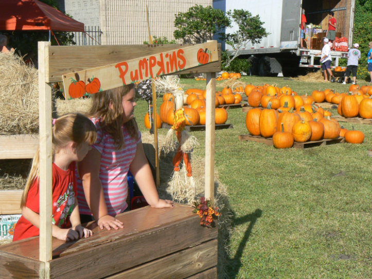 Florida pumpkin patches: Top 5 to visit with family in Volusia County