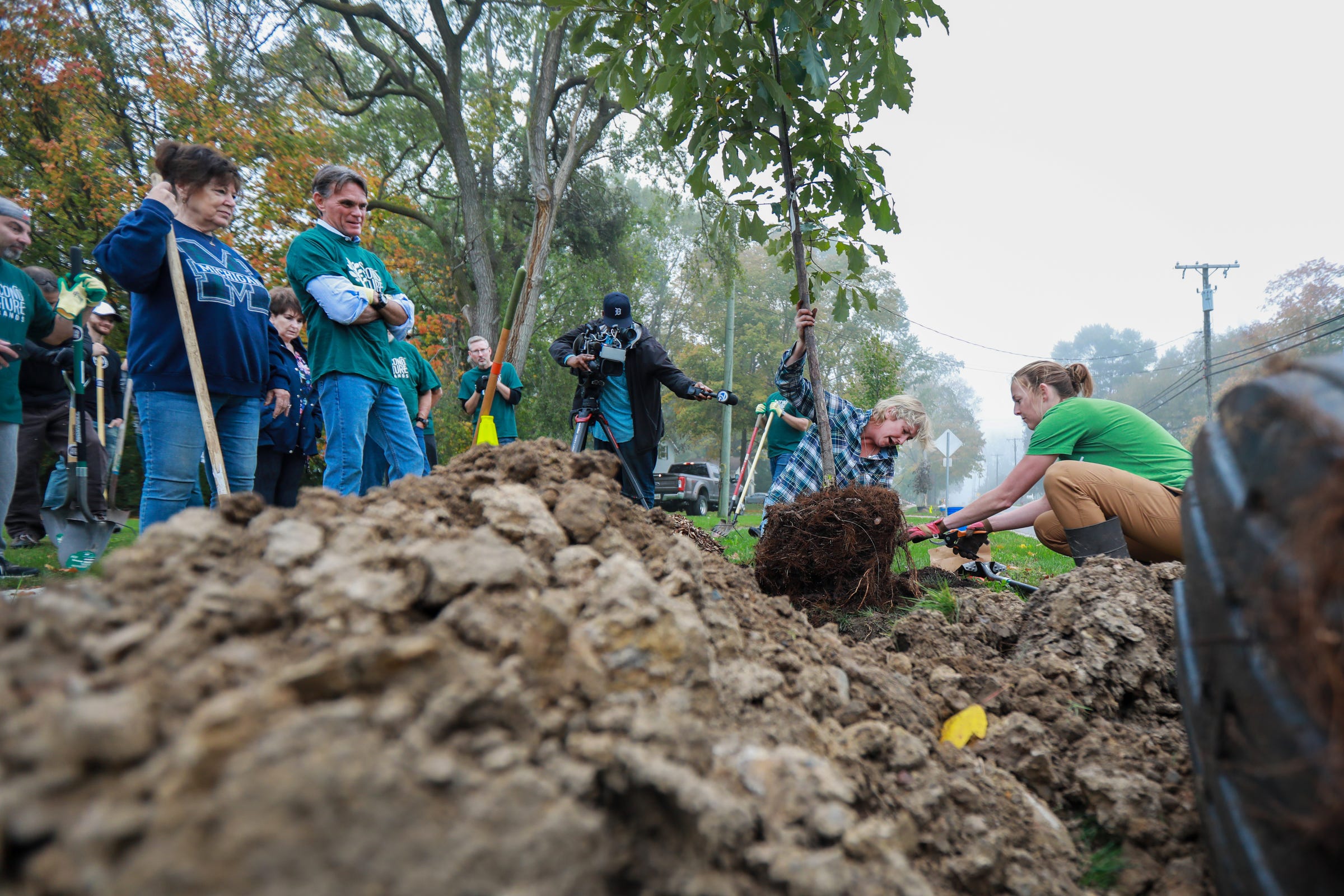 Michigan trees: Contest aims to find the biggest 'champions'