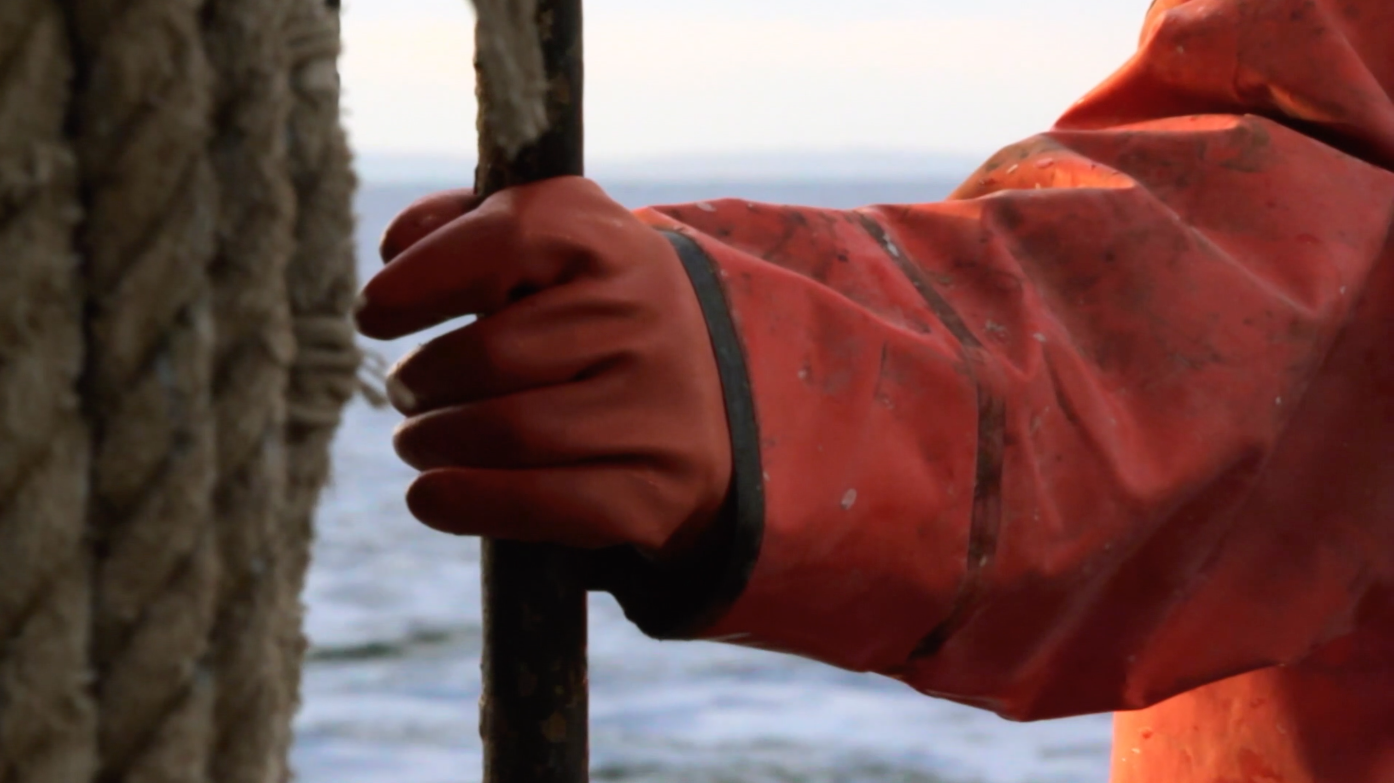 Fish Men Documentary Uses Scituate To Look At Fishing Industry