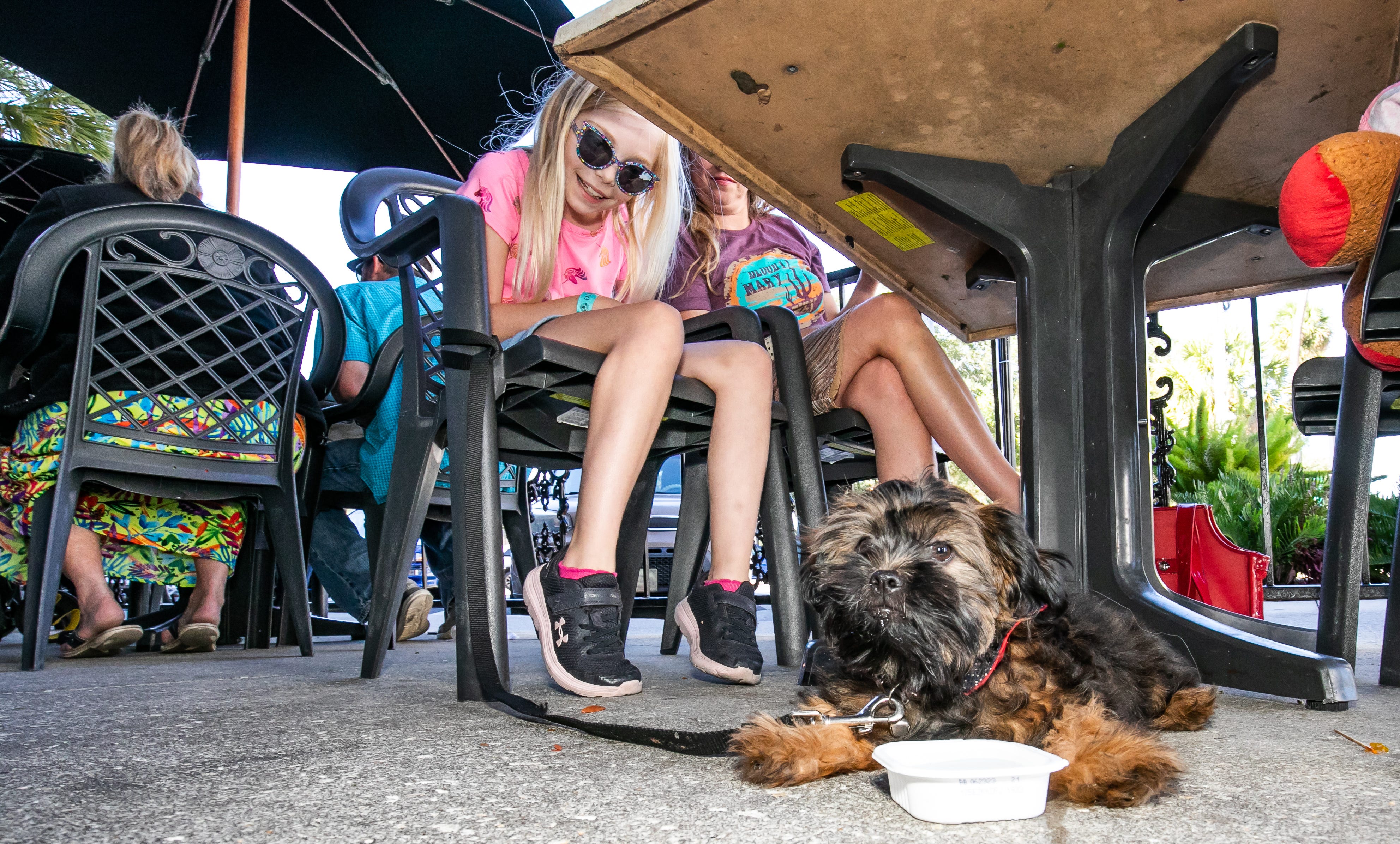 13 dog-friendly restaurants in Ocala, Belleview and Dunnellon