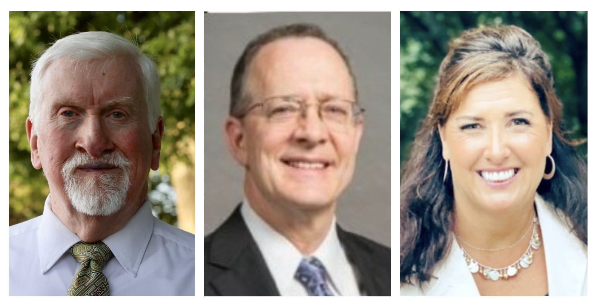 Braintree District 2 town council race features three candidates