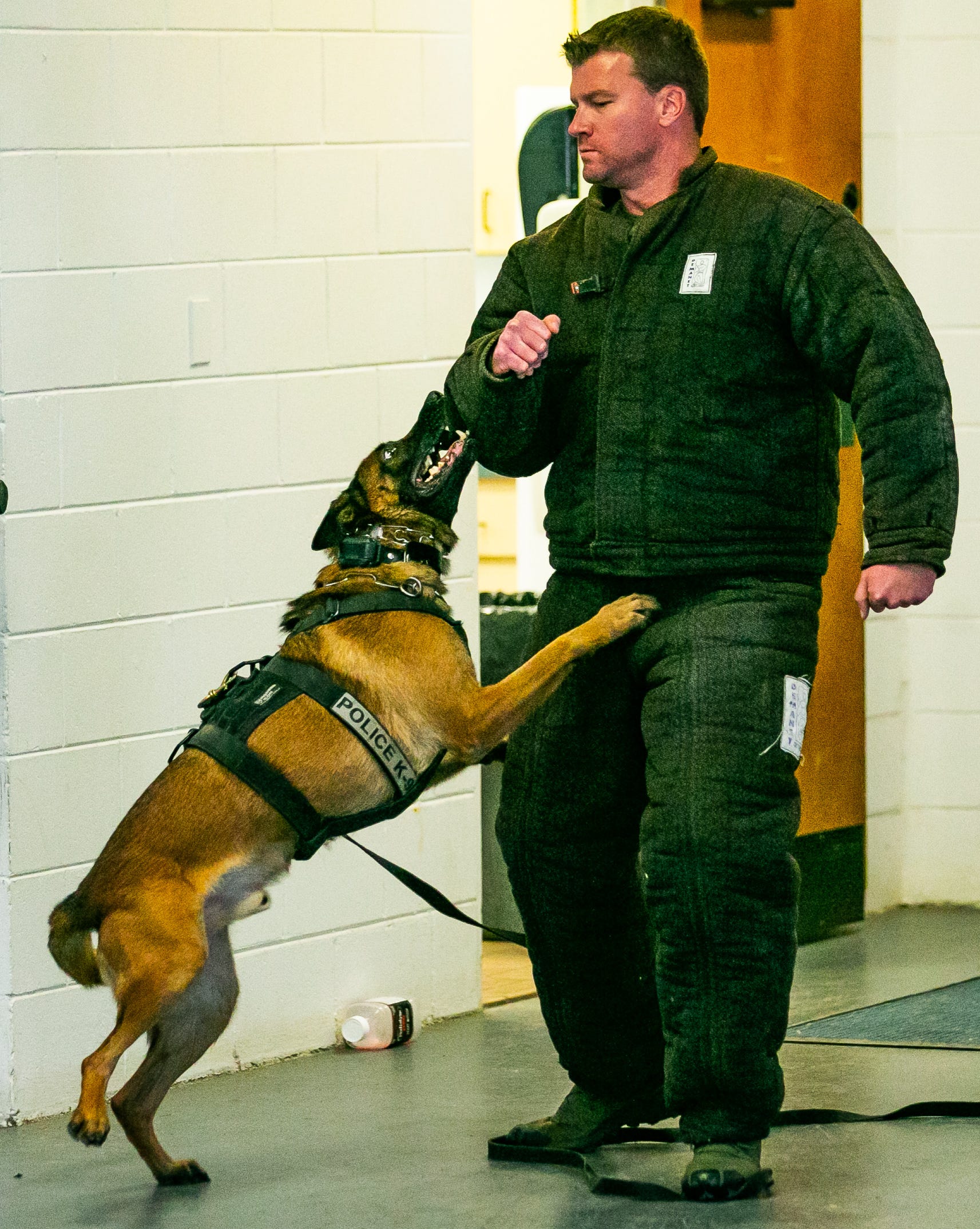 The man rambled at times when answering the judge's questions