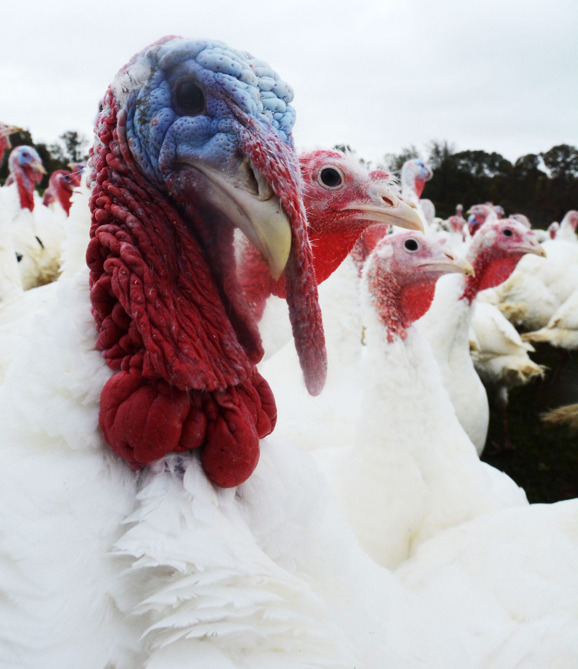 Opinion - Norwich, CT | Norwich Bulletin