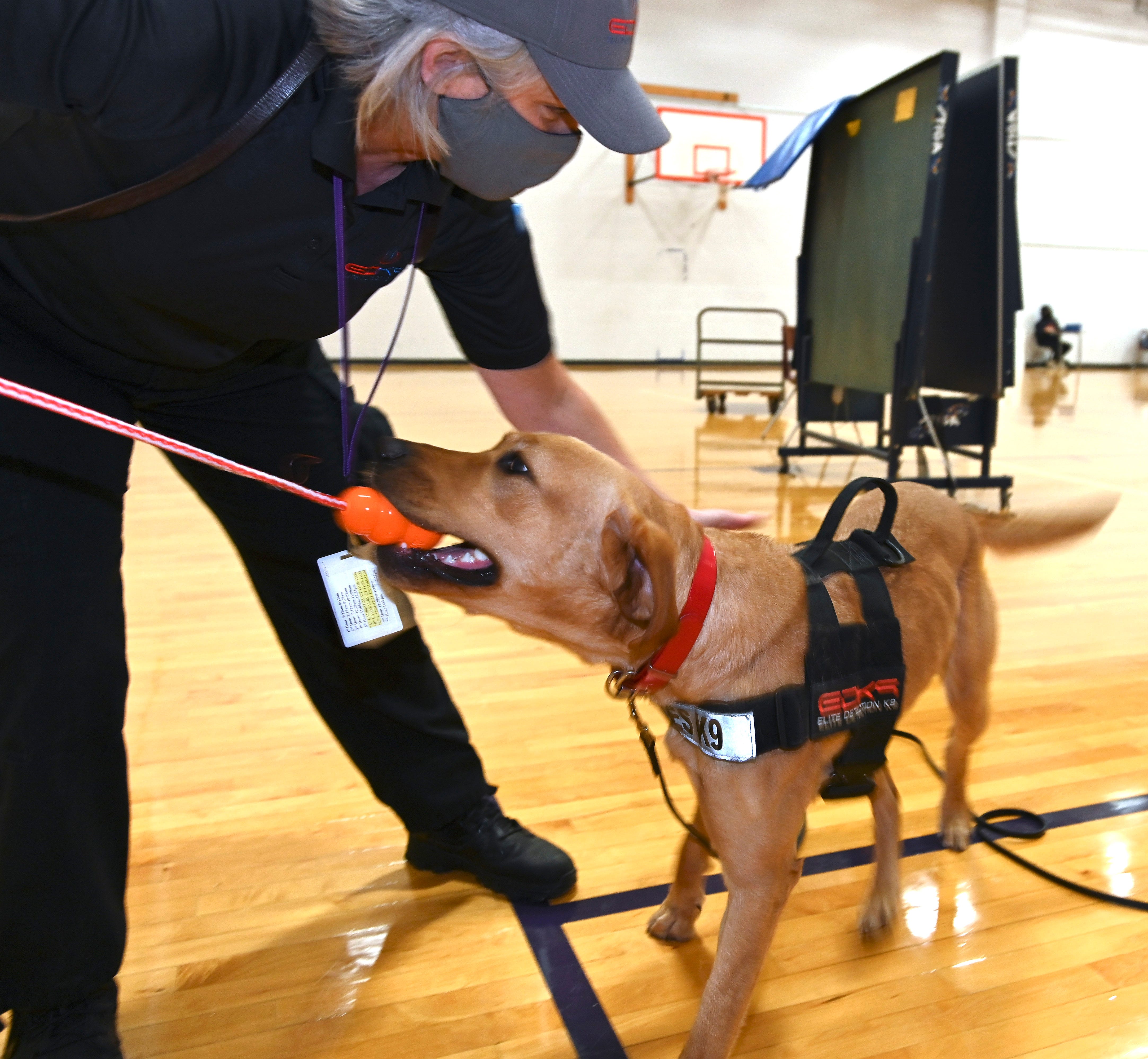 Why an Oakland County high school hired an explosive-sniffing K-9