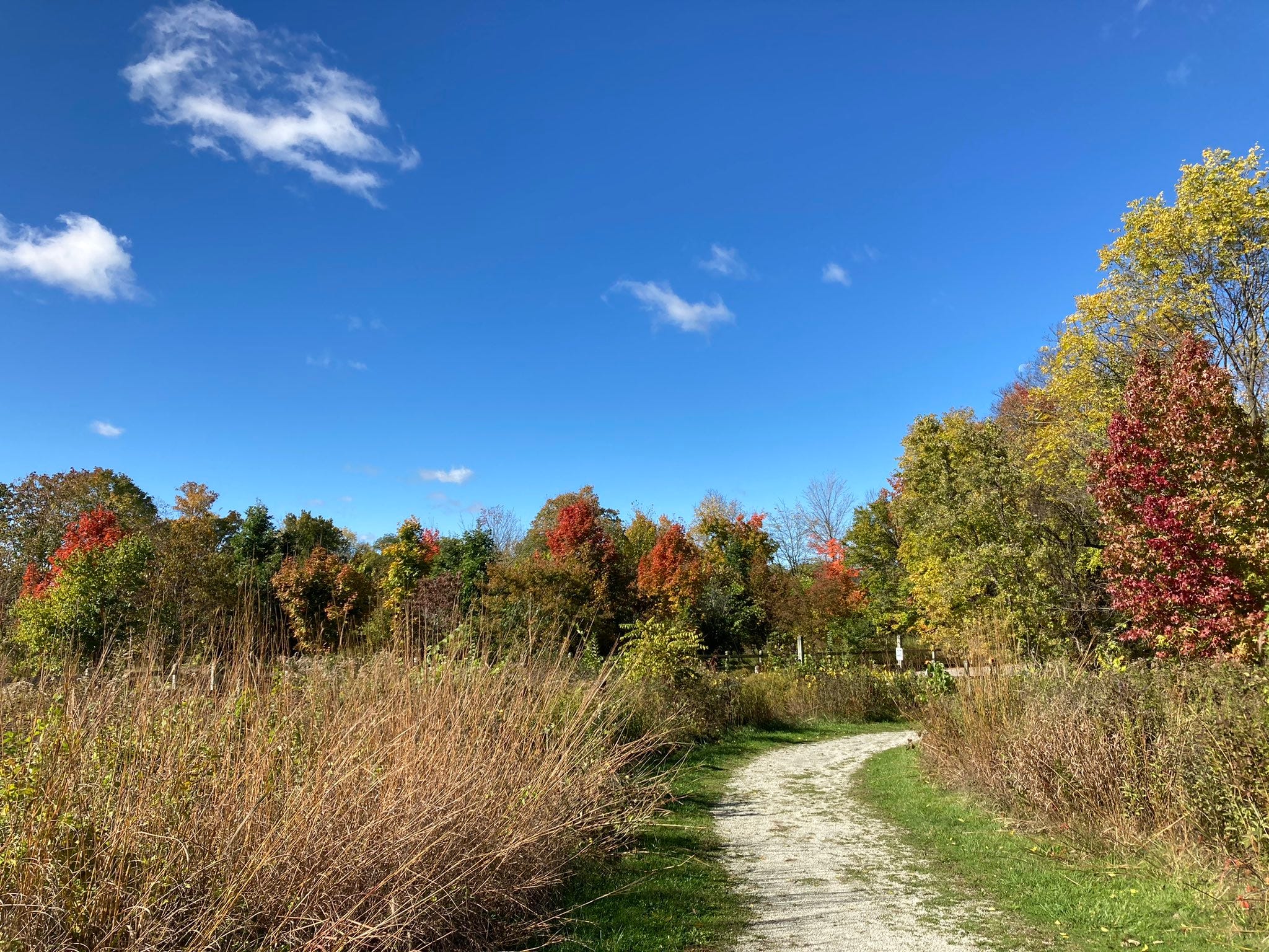 Hamilton County best parks you can visit to see fall foliage