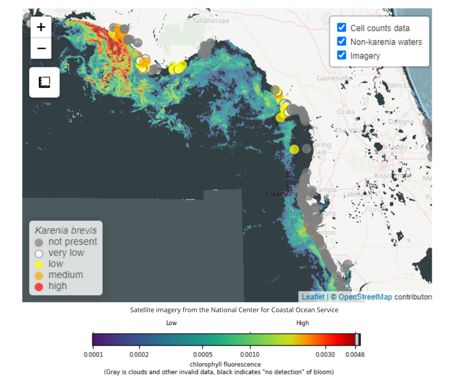 Red tide reported in Santa Rosa, Okaloosa and Walton counties