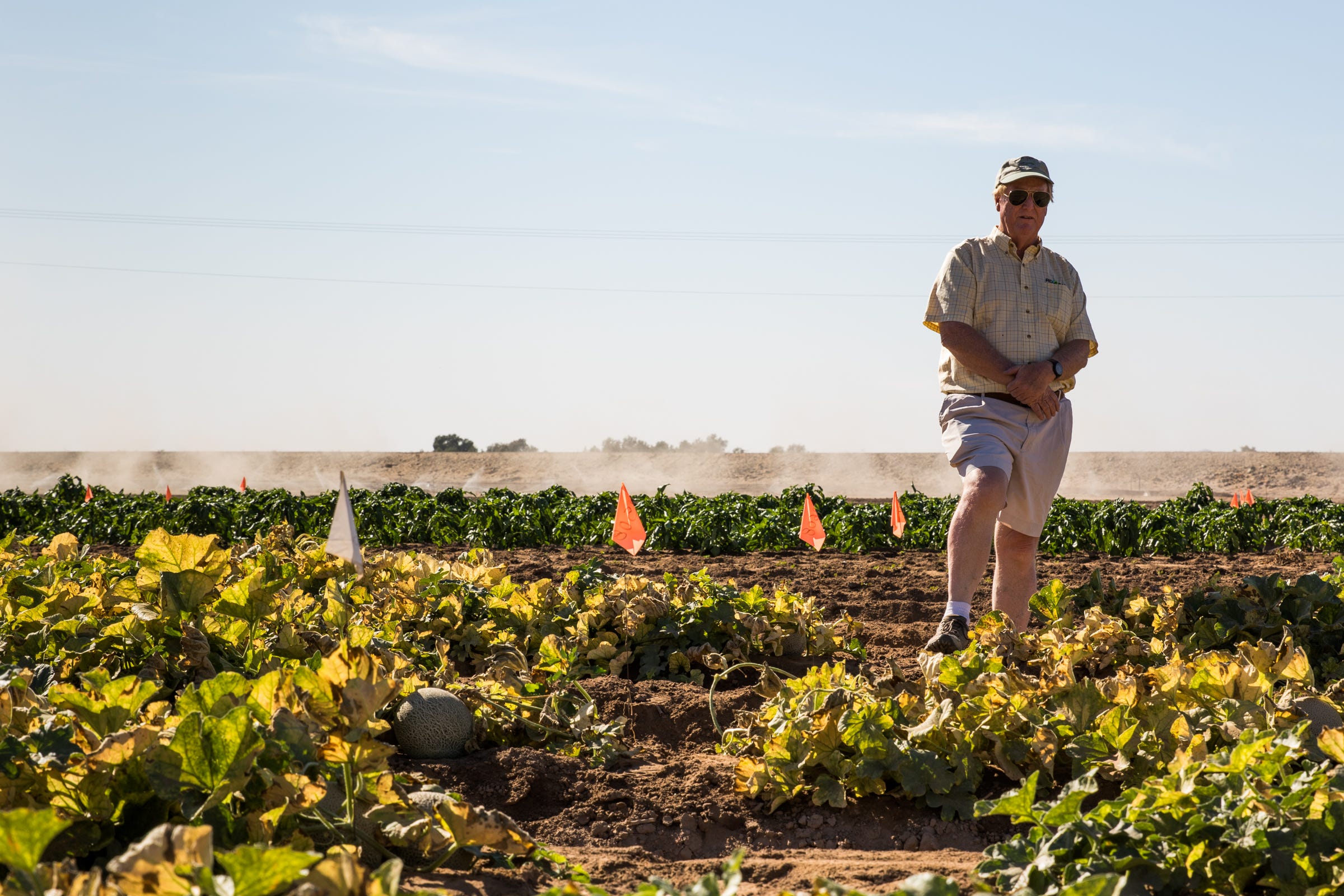 How transgenic crops could help agriculture's water woes
