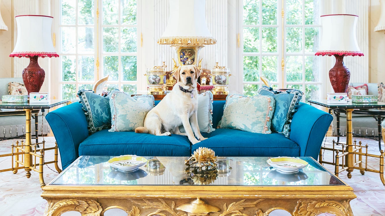 Photographs Of Newport s Pampered Dogs In Their Homes and Mansions photographs-of-newport-s-pampered-dogs-in-their-homes-and-mansions