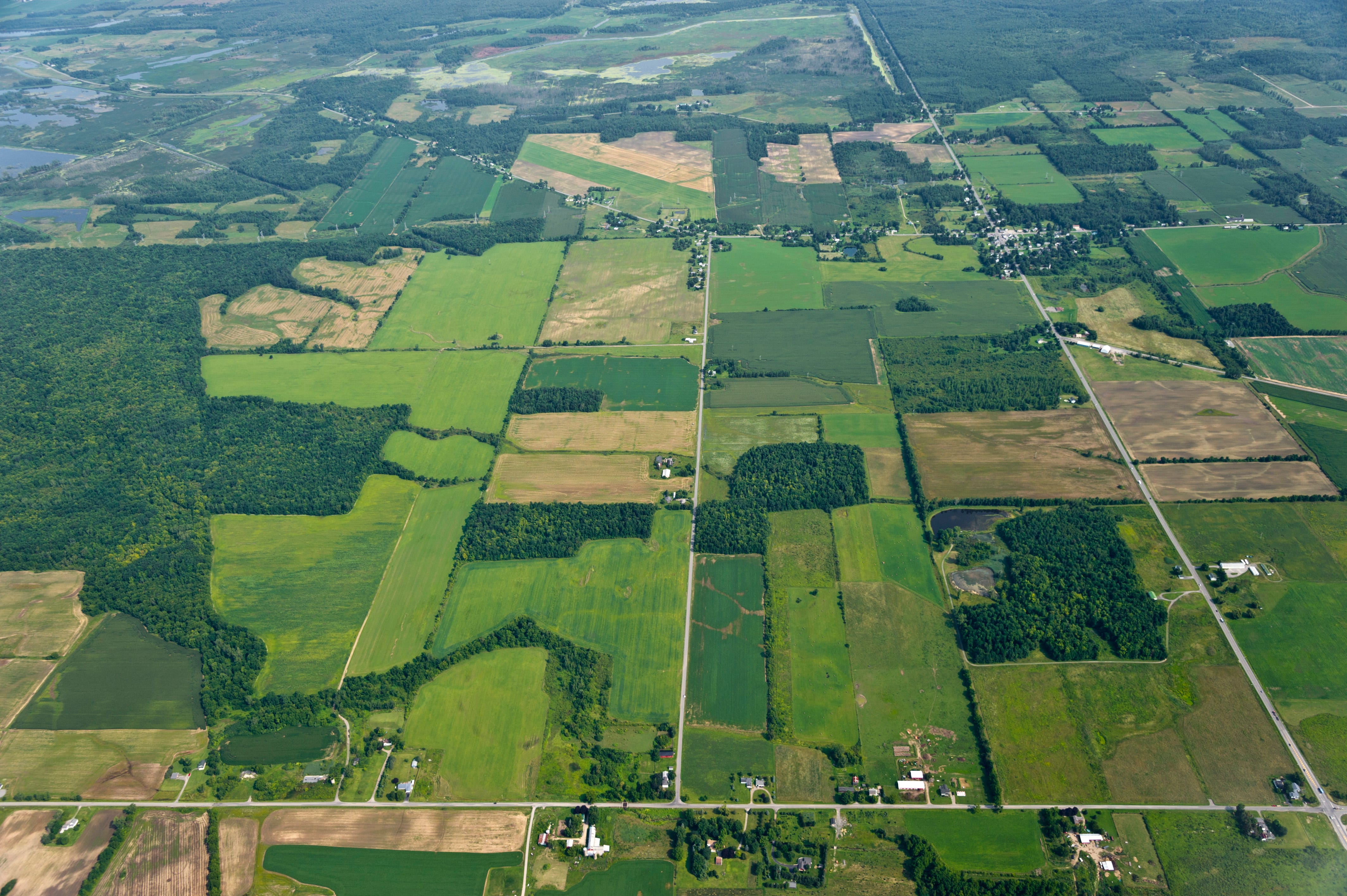 Will STAMP campus in Genesee County be the next Eastman Business Park?