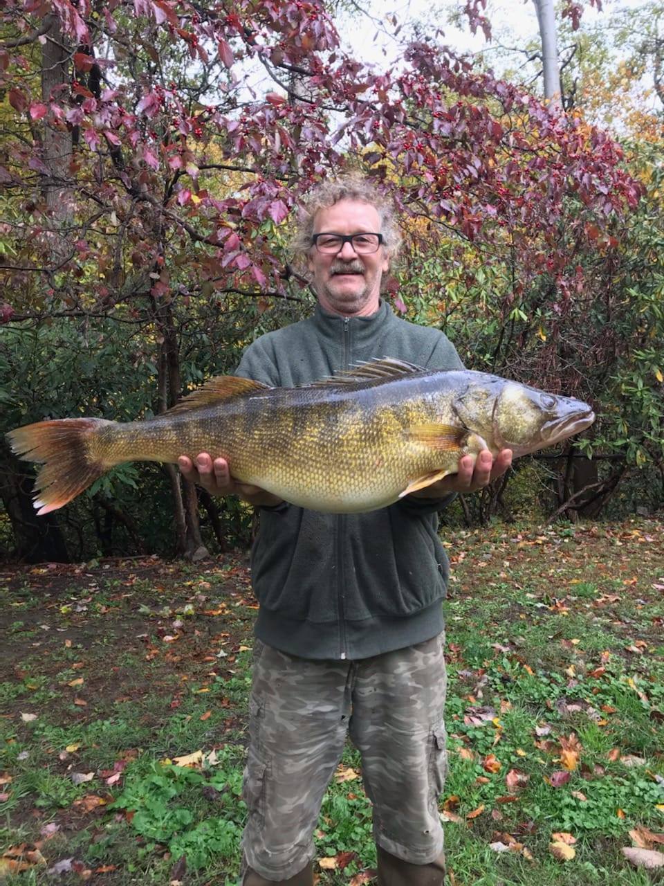 Connellsville walleye breaks 41-year-old Pennsylvania state record