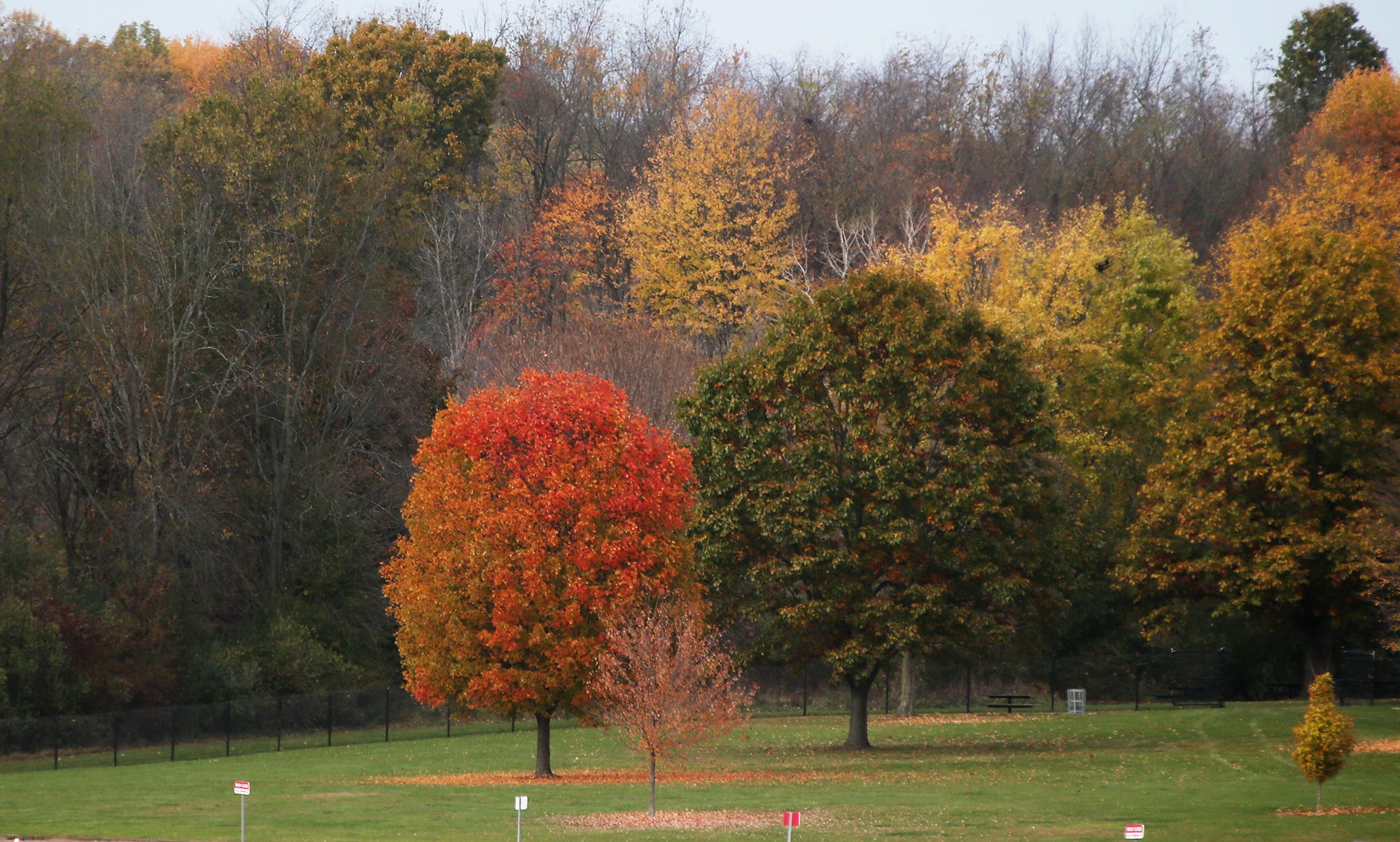 Admire fall colors on these scenic roads in Summit County