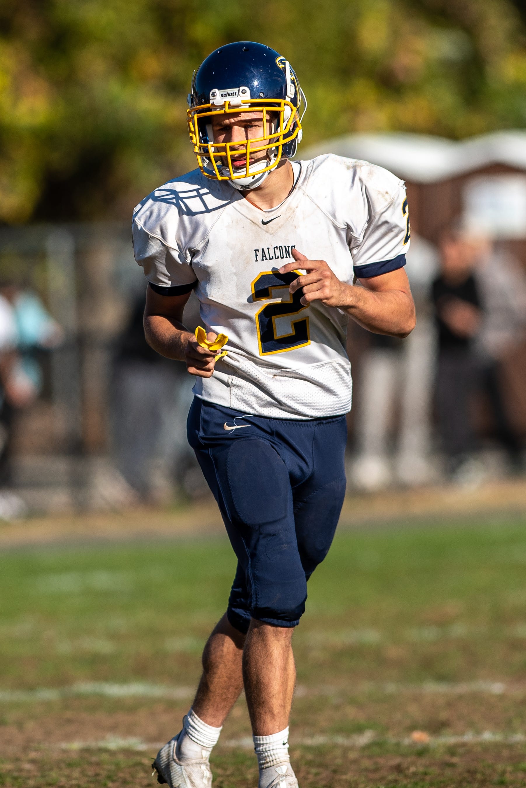 NJ football: Team and individual statistics through Week 10