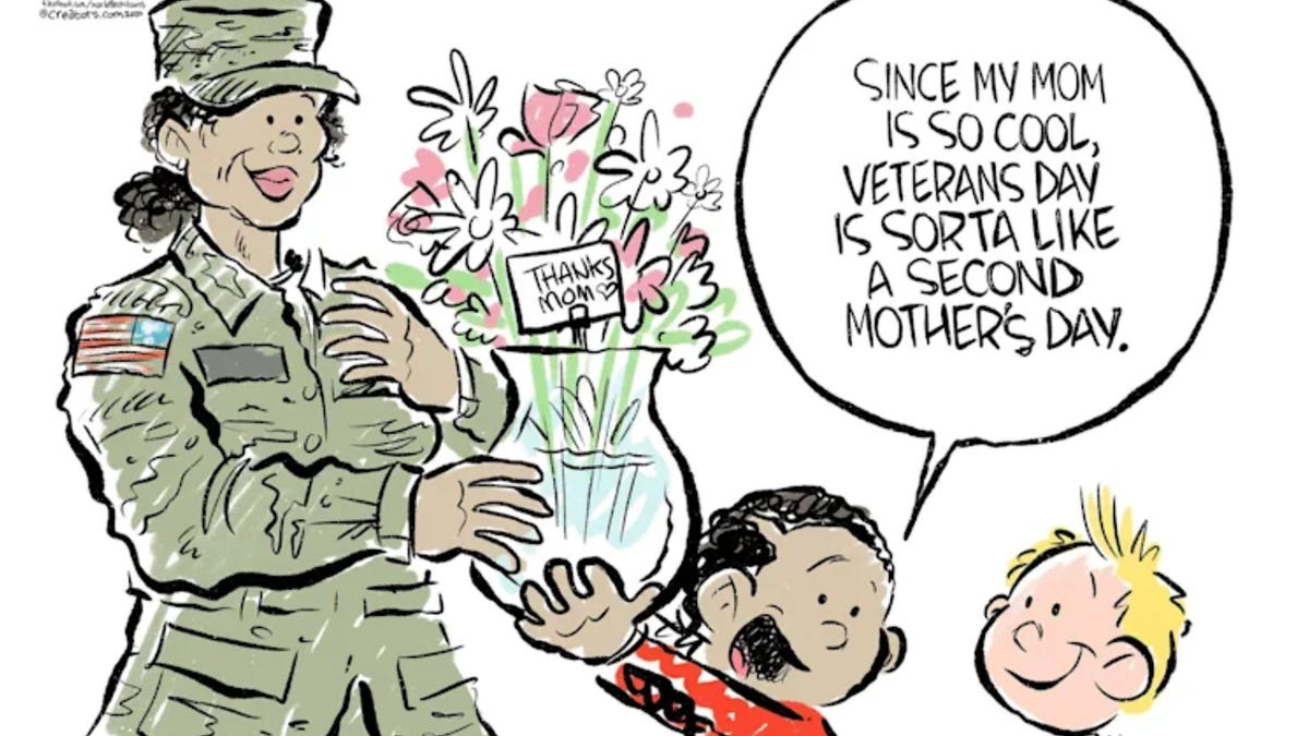 Veteran's Day cartoons: A collection from the USA TODAY Network