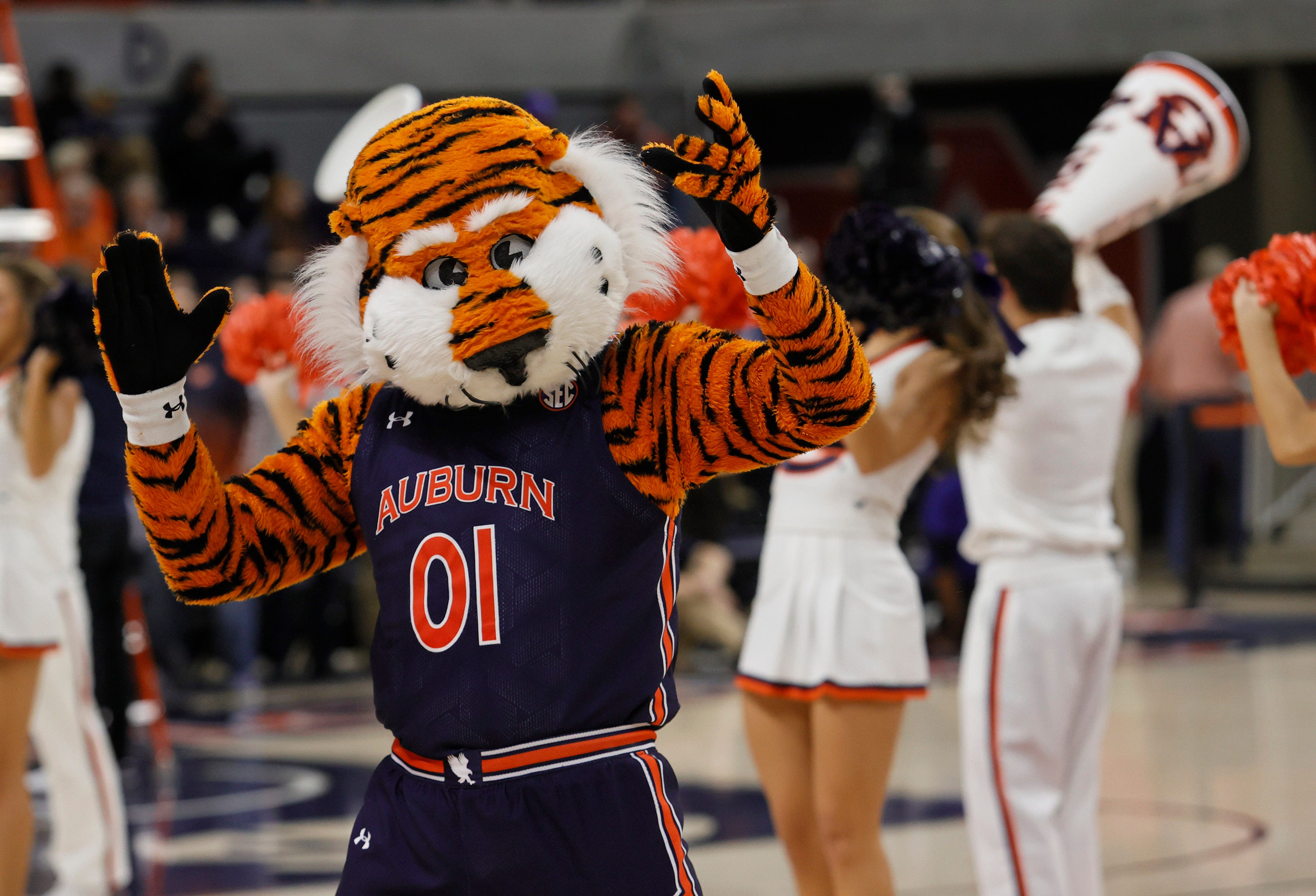 Why does Auburn have two mascots, an eagle and a tiger? It doesn't