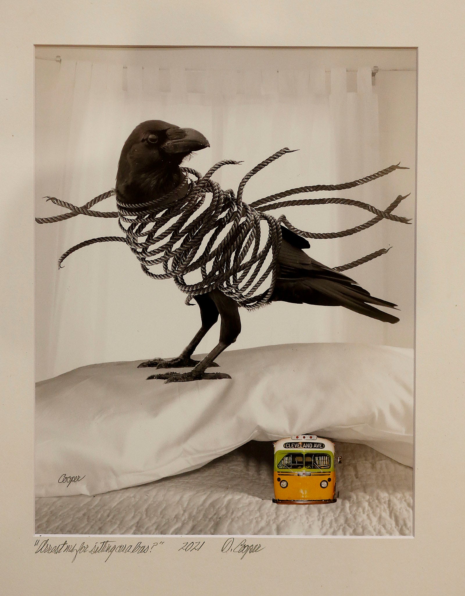 'Black Lives & White Fragility' exhibit on display at Cohasset gallery