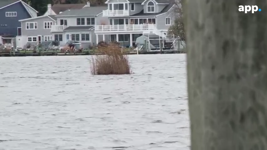 Brick NJ Metedeconk River new addition: A floating island