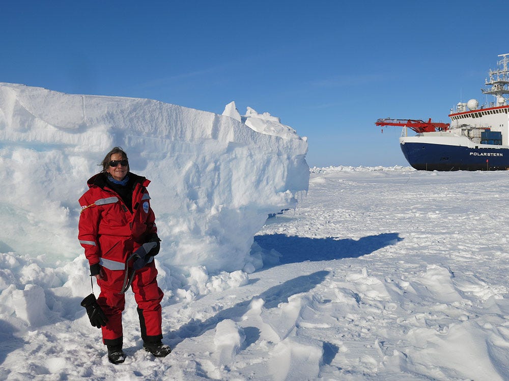 Arctic researchers want to state their case before international ...