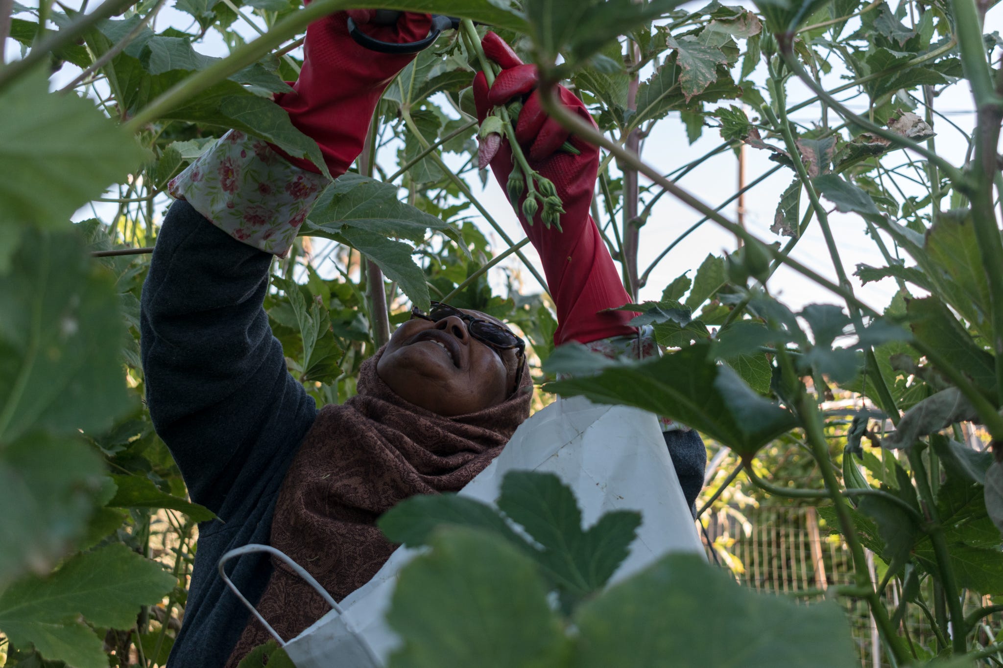 Black-owned restaurants in metro Phoenix, Tempe, Scottsdale, Chandler