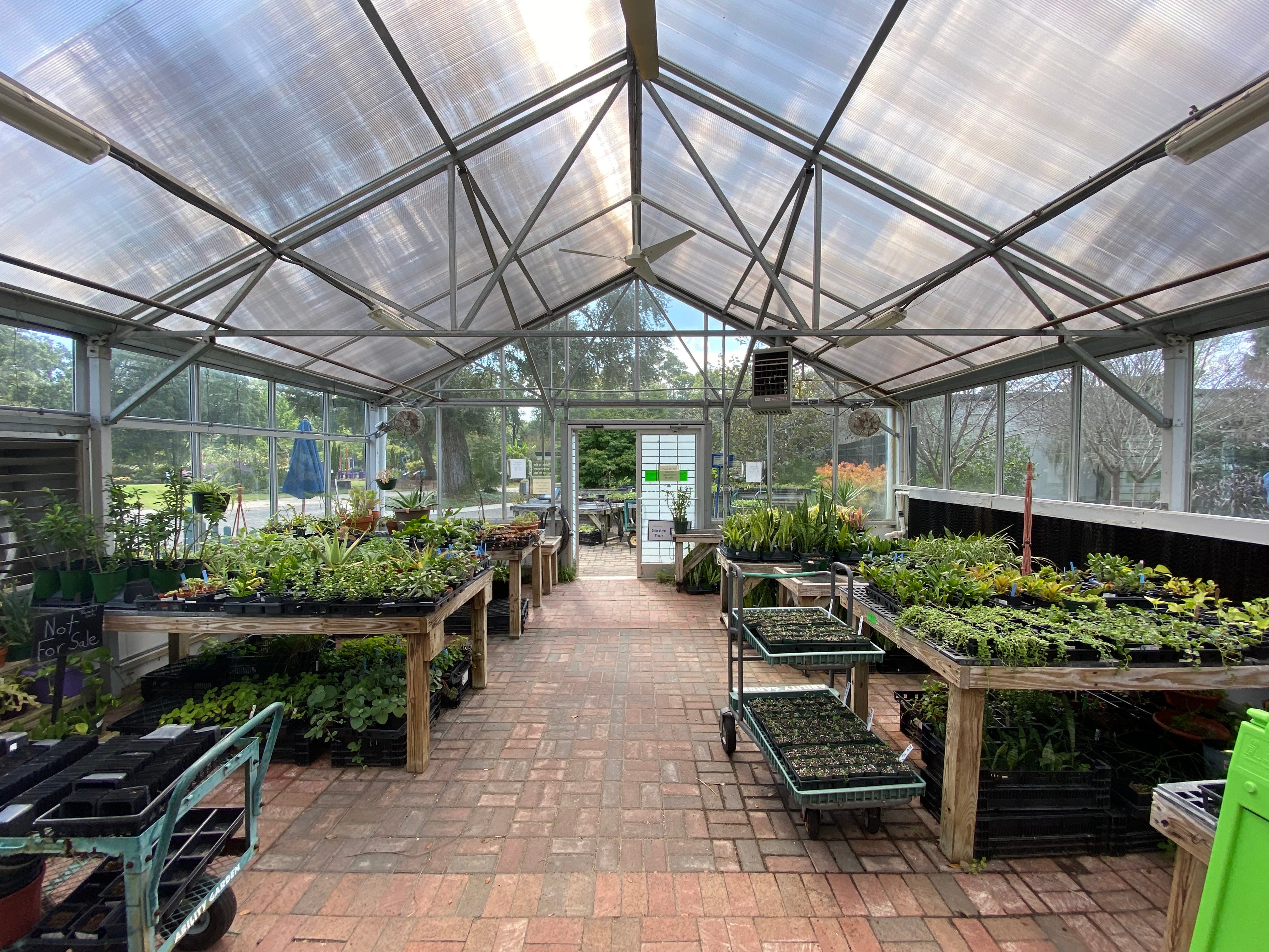 The Ability Garden works with Lake Forest Academy