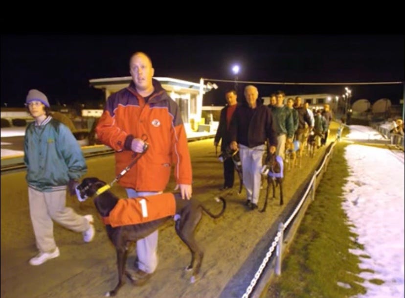 Raynham Park: Dog track workers remember heyday of greyhound racing