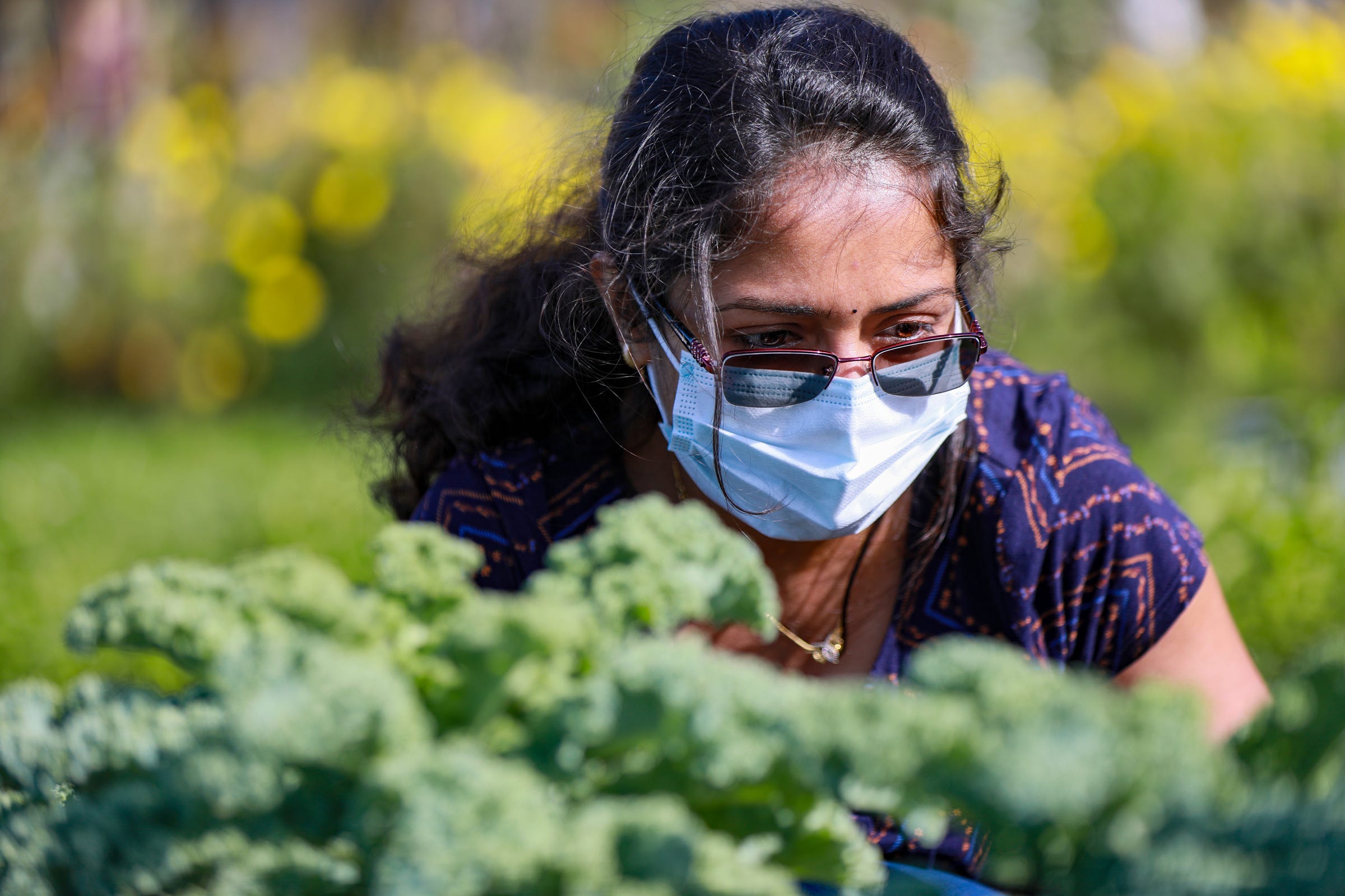 St. Joseph Mercy Health System adds farm to Pontiac hospital