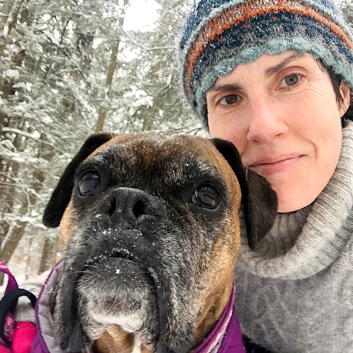 Kate Collins | The Ithaca Journal