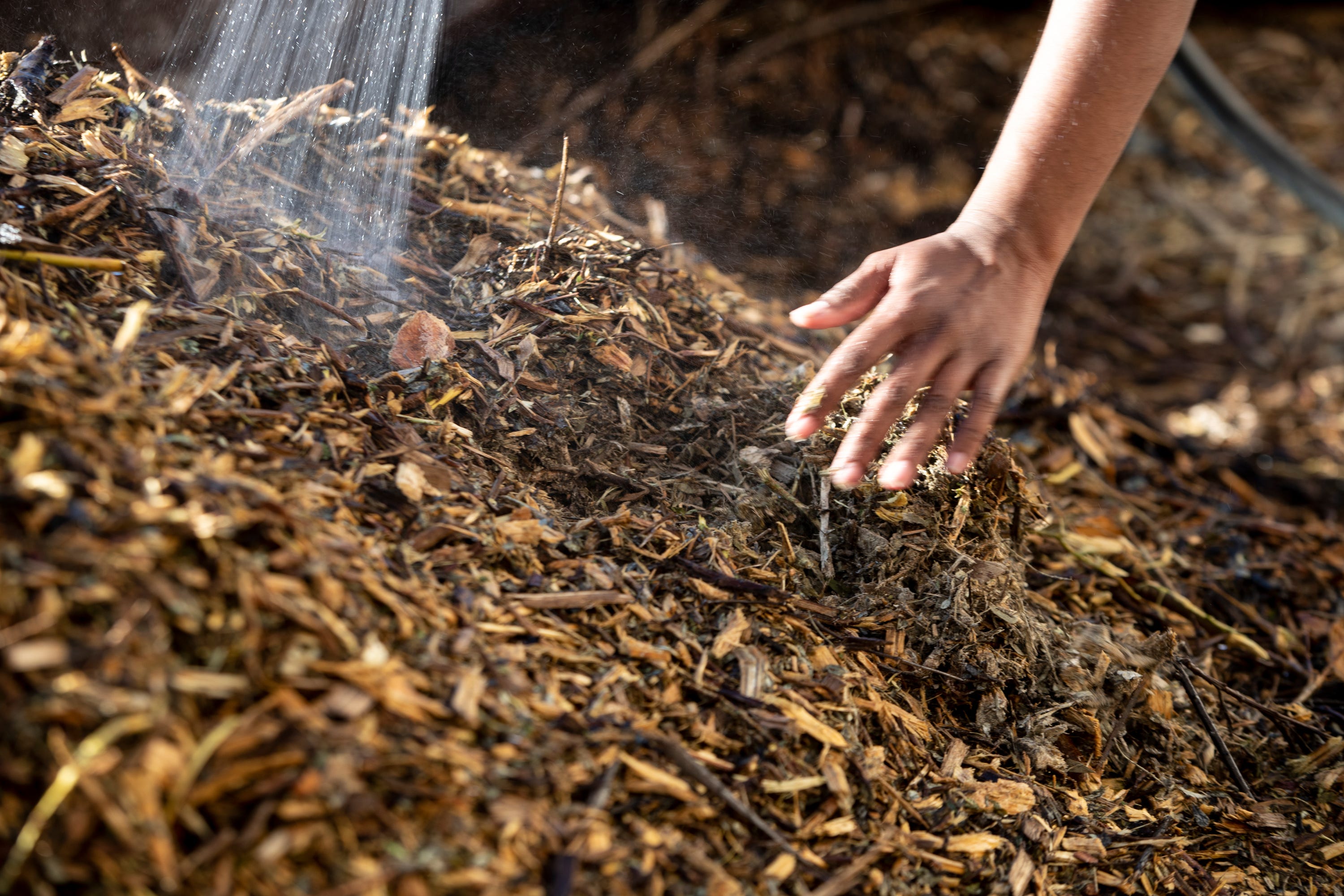 Composting trash, kitchen debris can make gardens more productive
