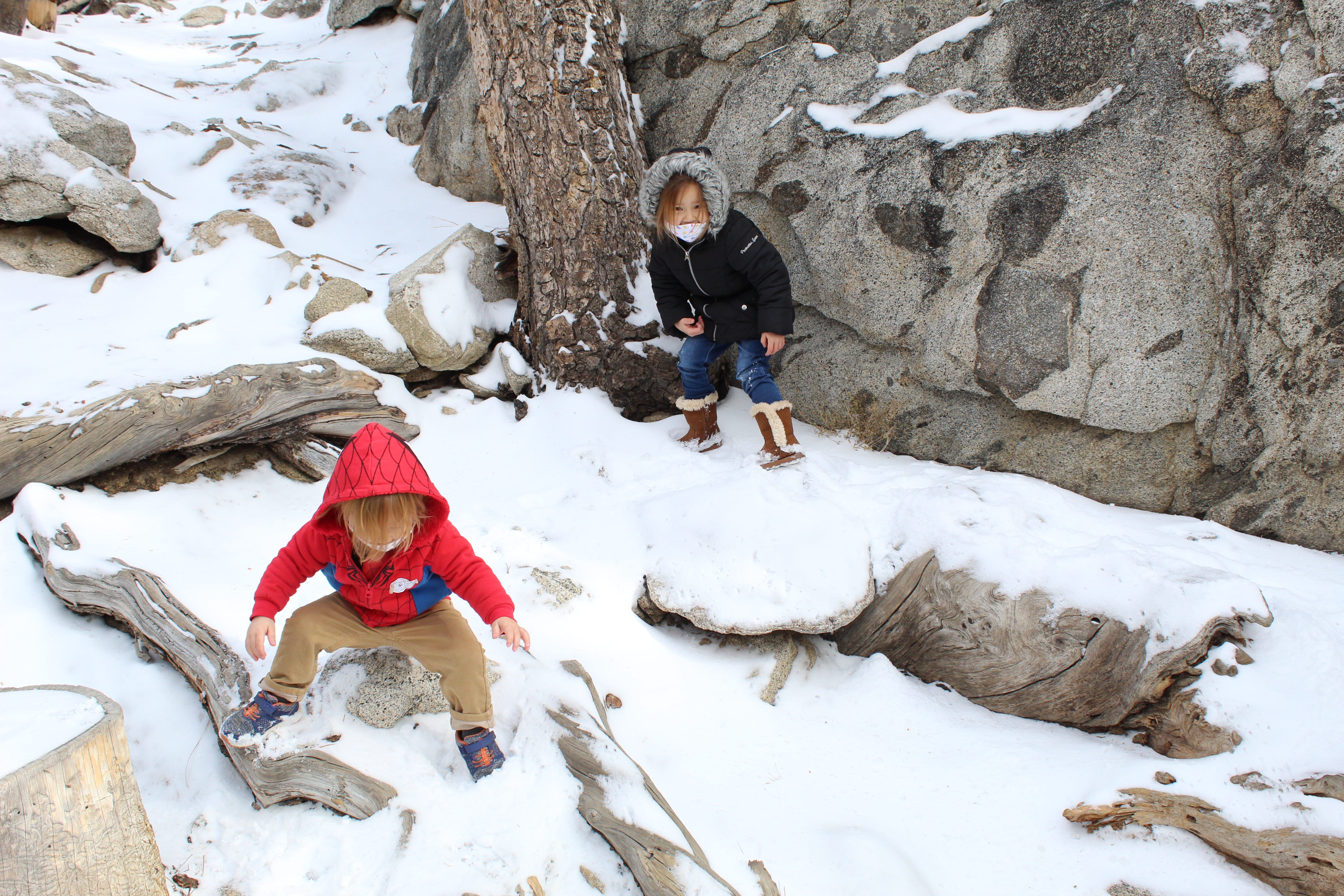 Who won Palm Springs Aerial Tramway's 2021 snow guessing contest?