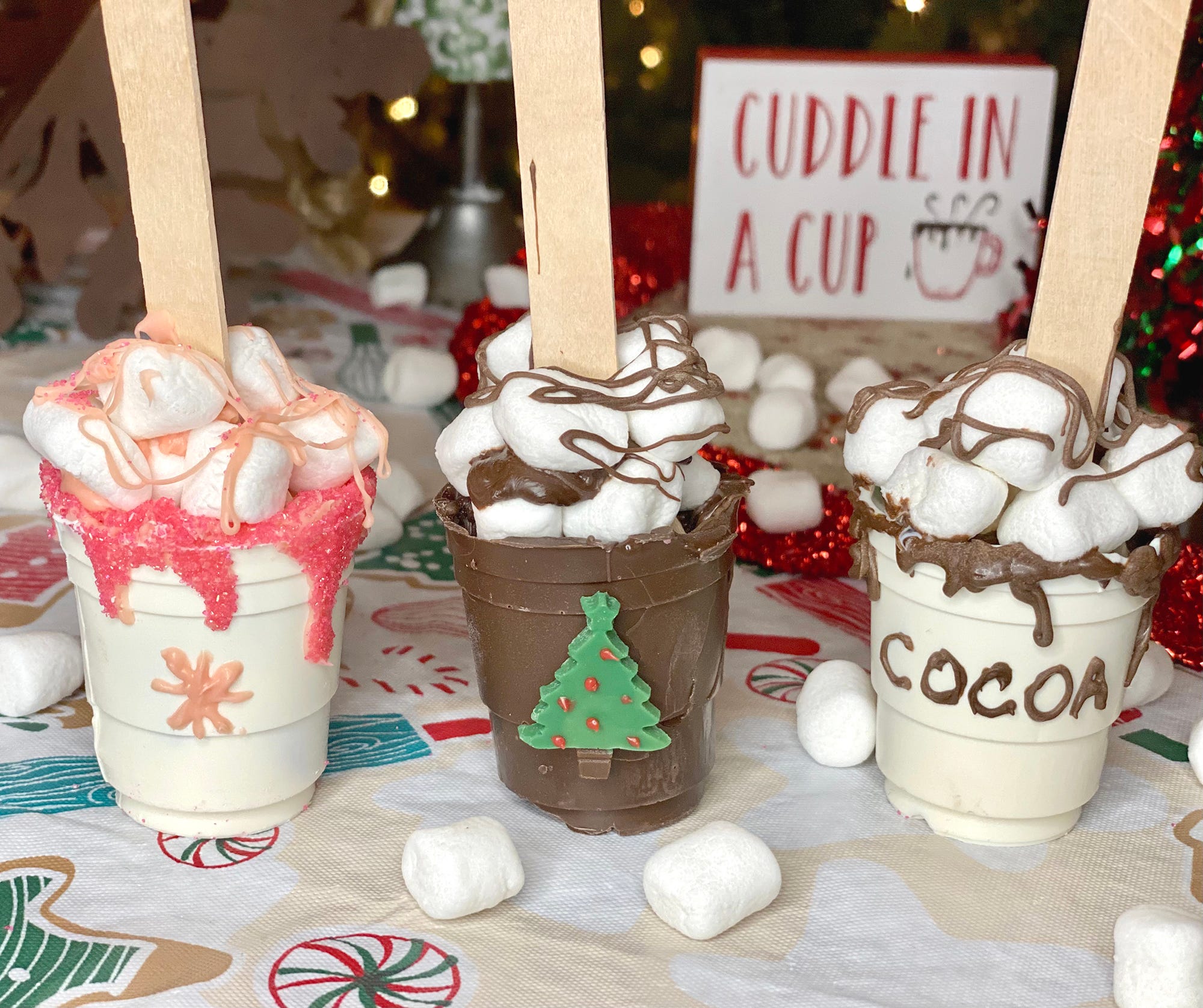 Jefferson-based HotCo Explosions is lead by kids and managed by mom