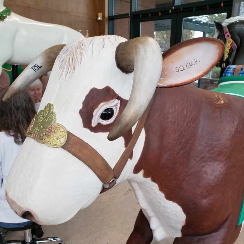 Check out which animals are next in line at Salem's carousel
